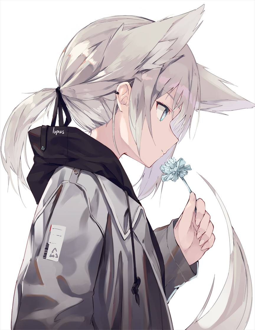Lupus [Original] | Scrolller