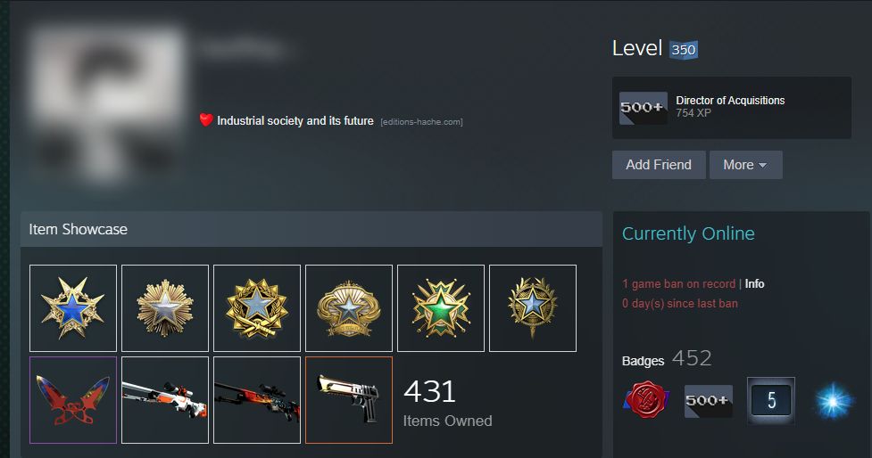 LVL 350 + PLAYSKINS BANNED RIP | Scrolller