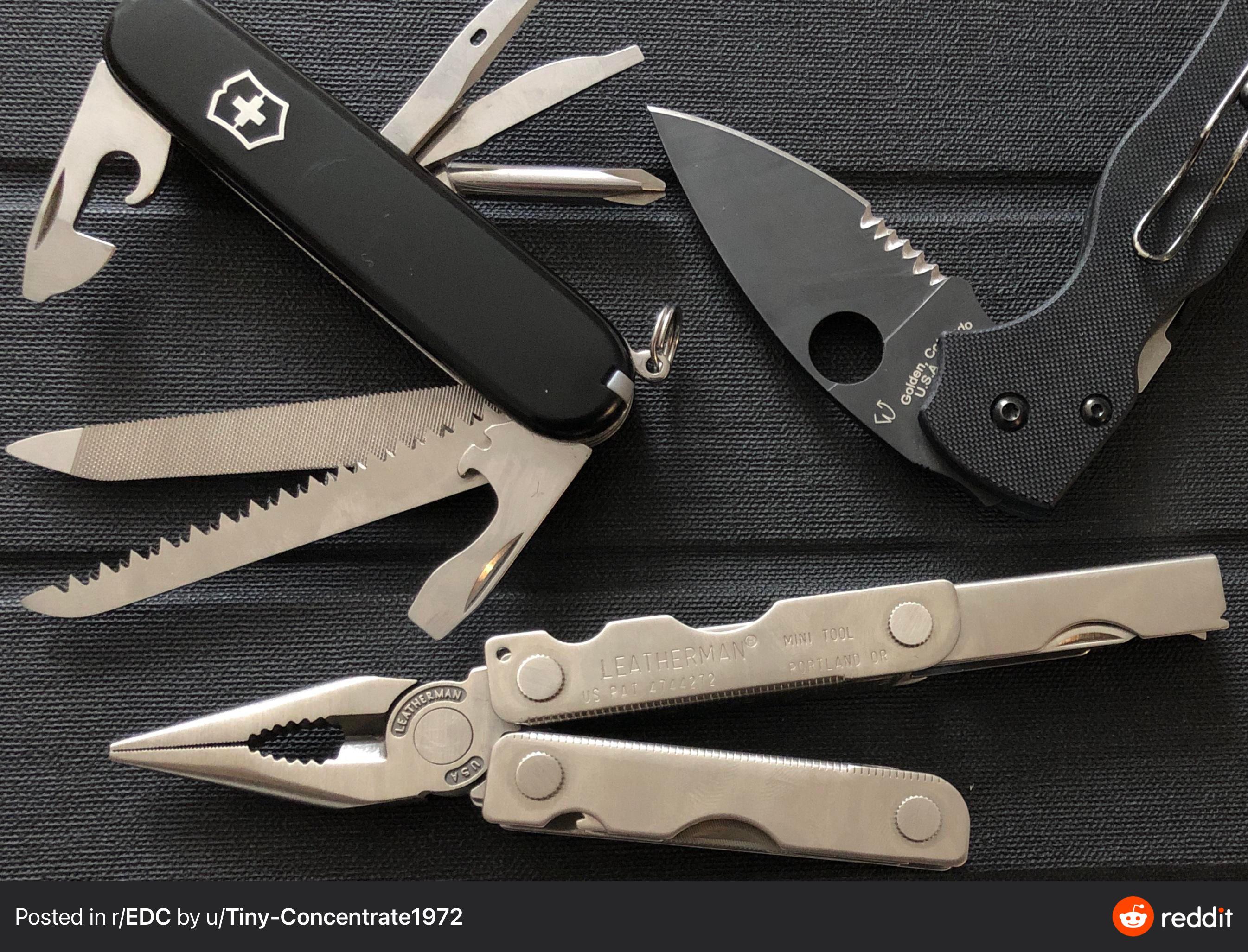 M/39/Artist | Scrolller