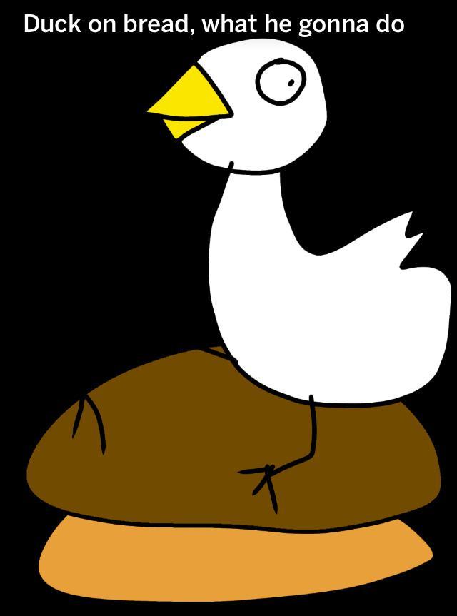 M8 and Reciprocate | Scrolller