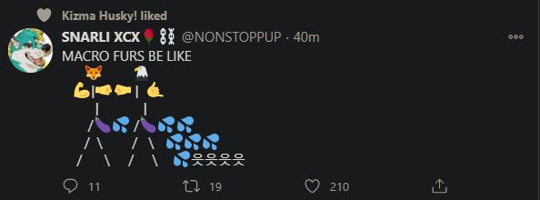 Macro_irl | Scrolller