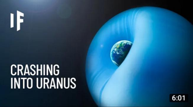 Macro irl | Scrolller