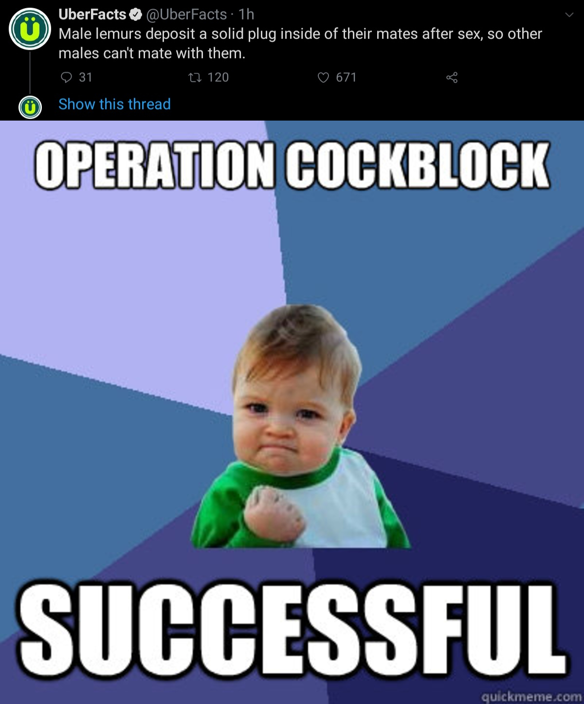 Madlad lemur | Scrolller