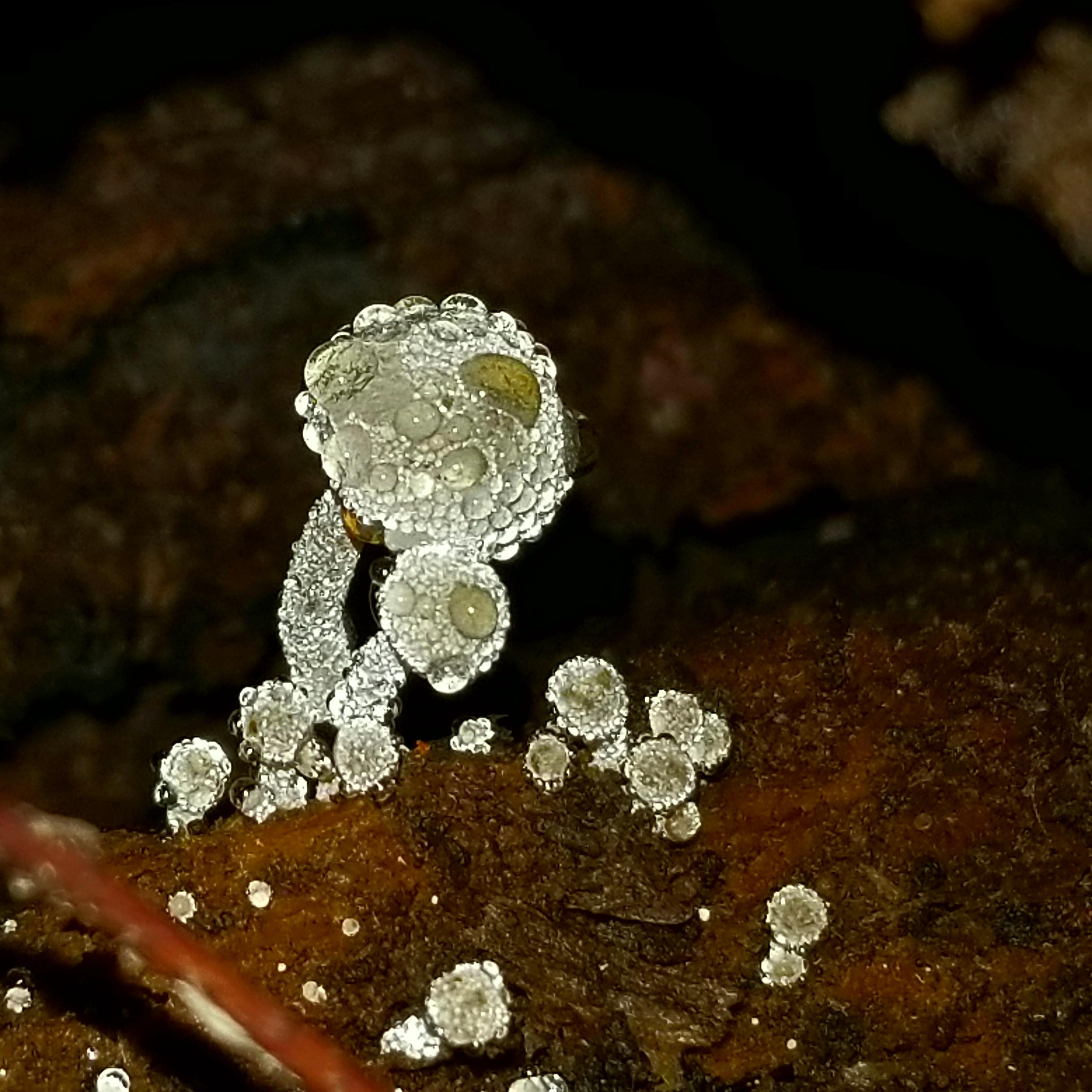 Magical!!! | Scrolller