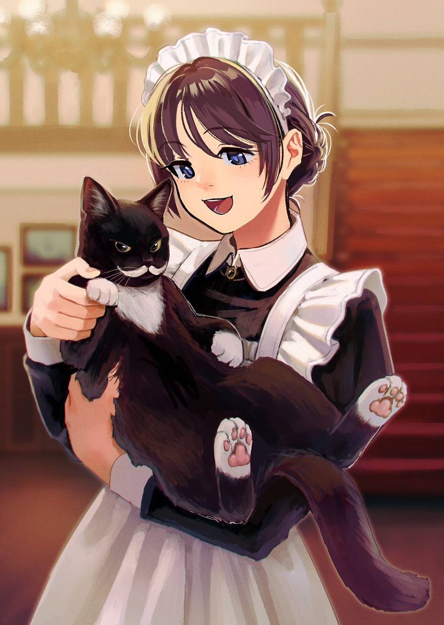 Maid 'n neko [original] | Scrolller