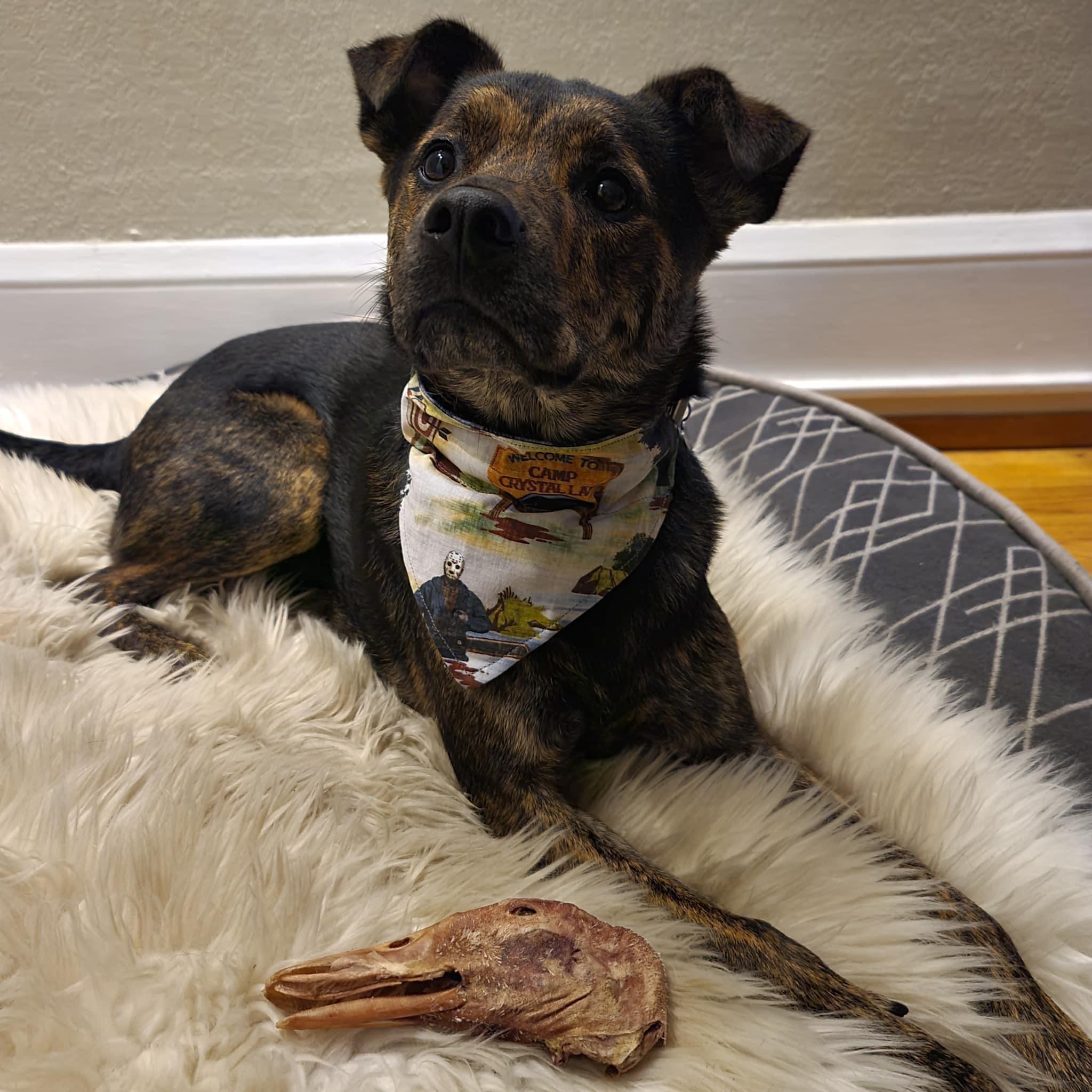 Major CockBlock | Scrolller