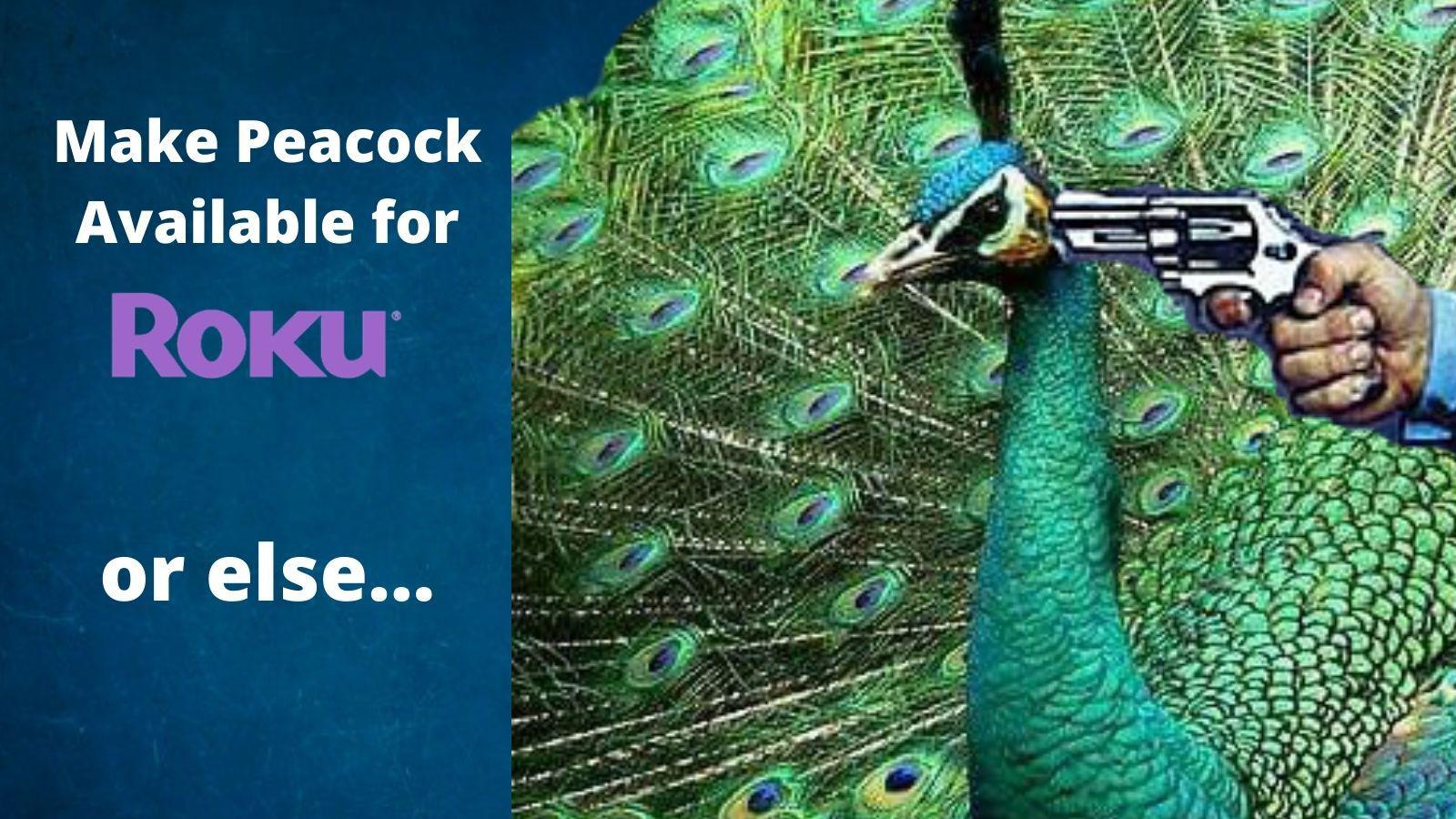 Make Peacock Available for Roku | Scrolller