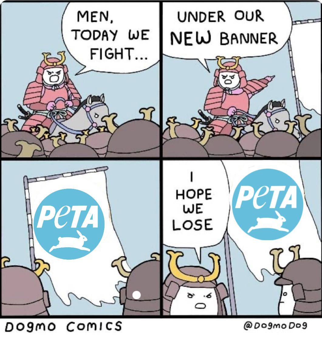 Make this format overused! | Scrolller