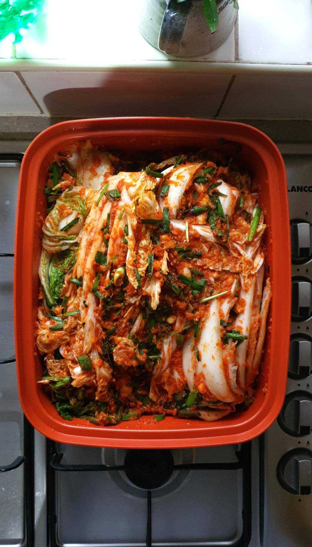 Making cabbage kimchi for the first time | Scrolller