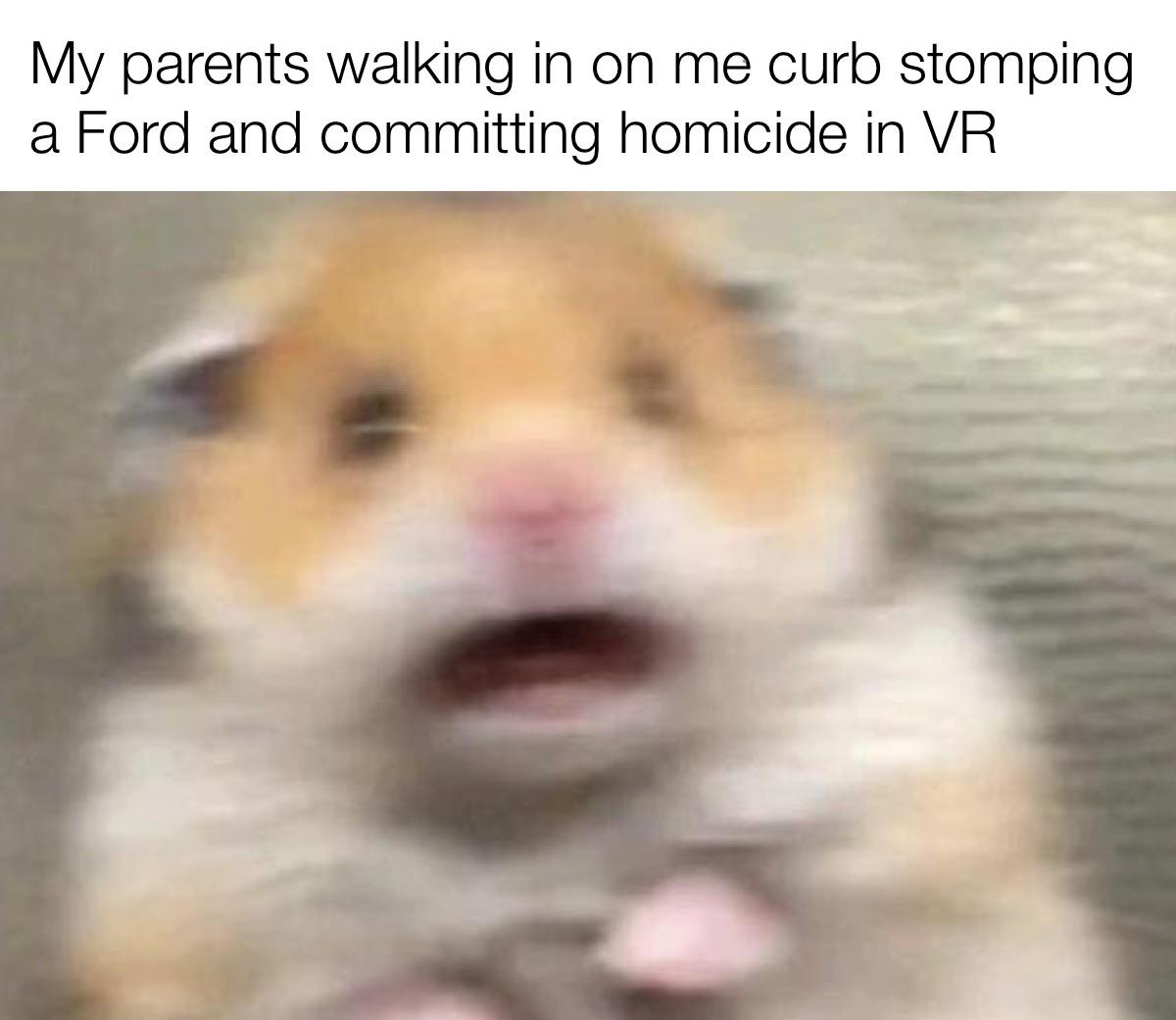 Mamma Mia Scrolller