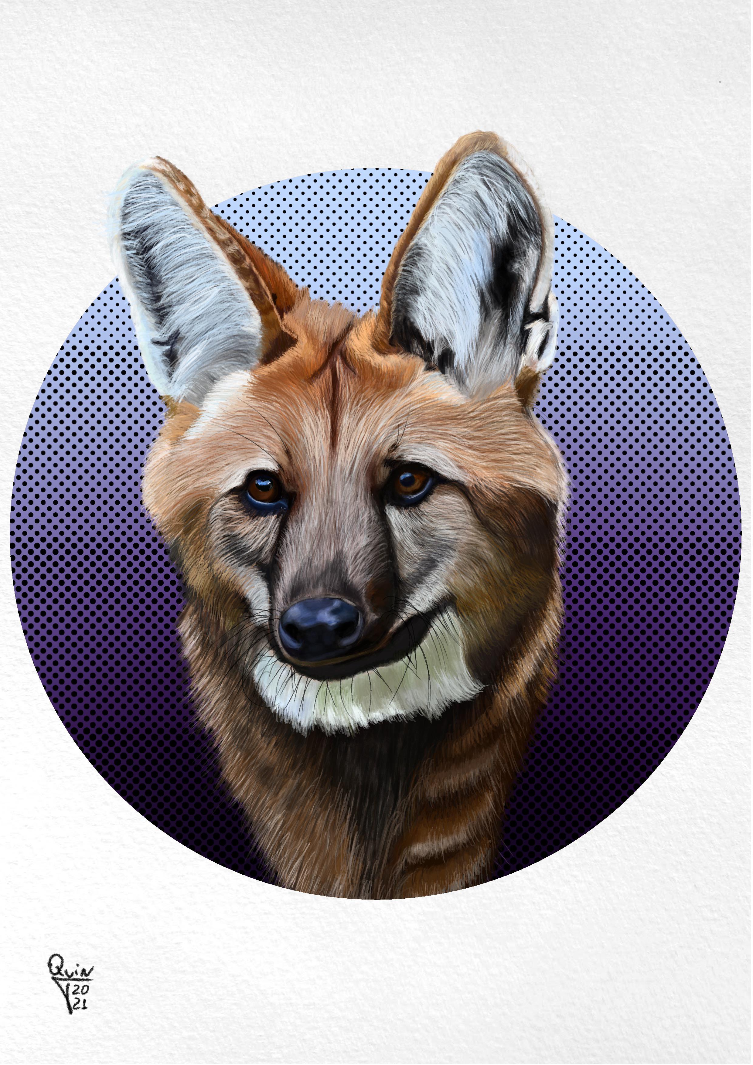 Maned Wolf, Digital, 2021 | Scrolller