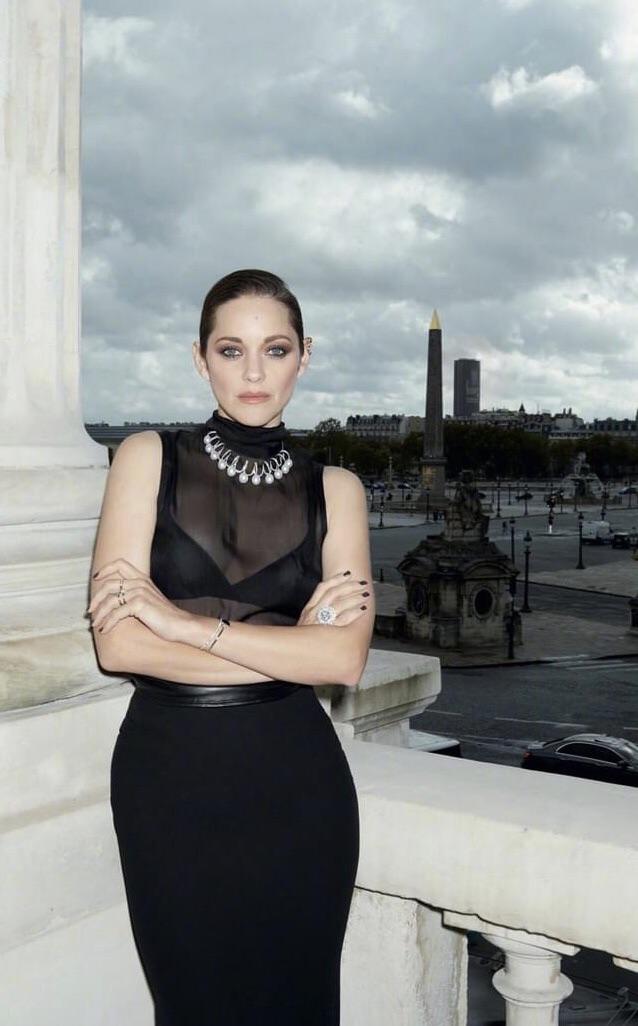 Marion Cotillard | Scrolller
