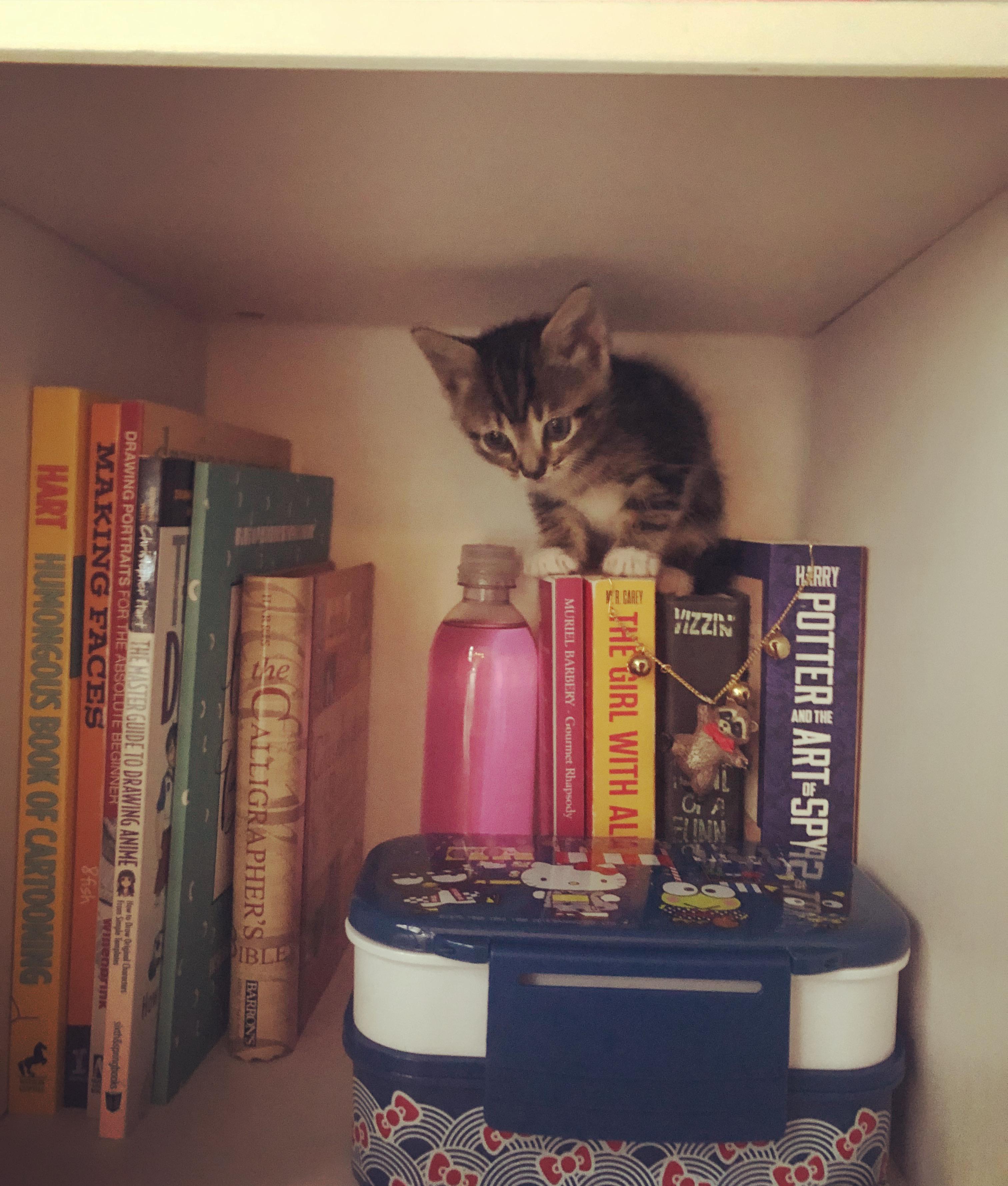 Marnie finds her first favorite spot | Scrolller