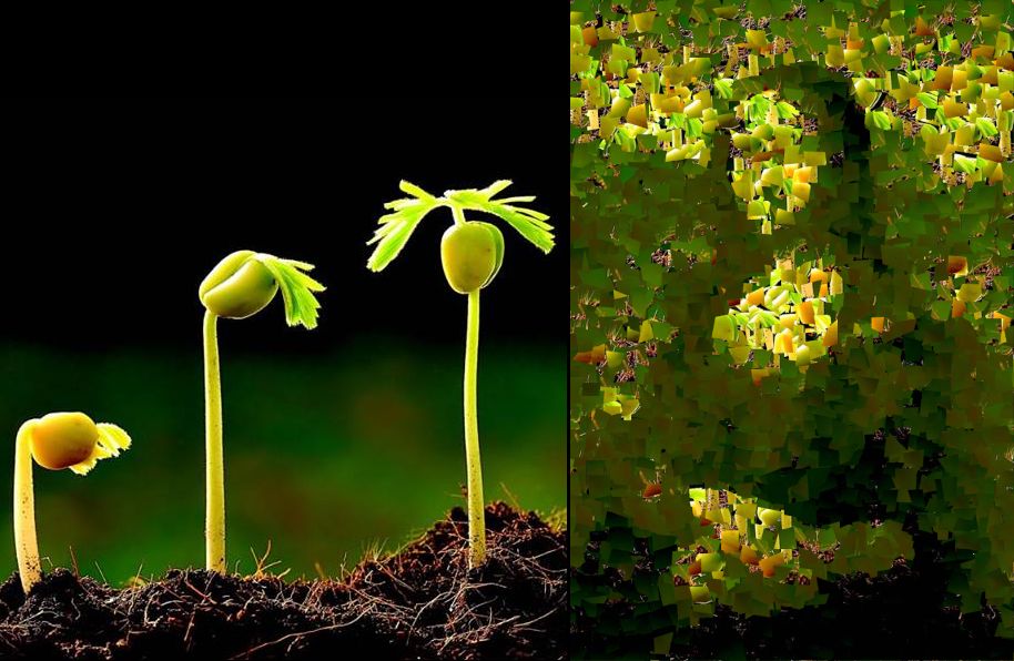 Match Forever plug-in | Scrolller