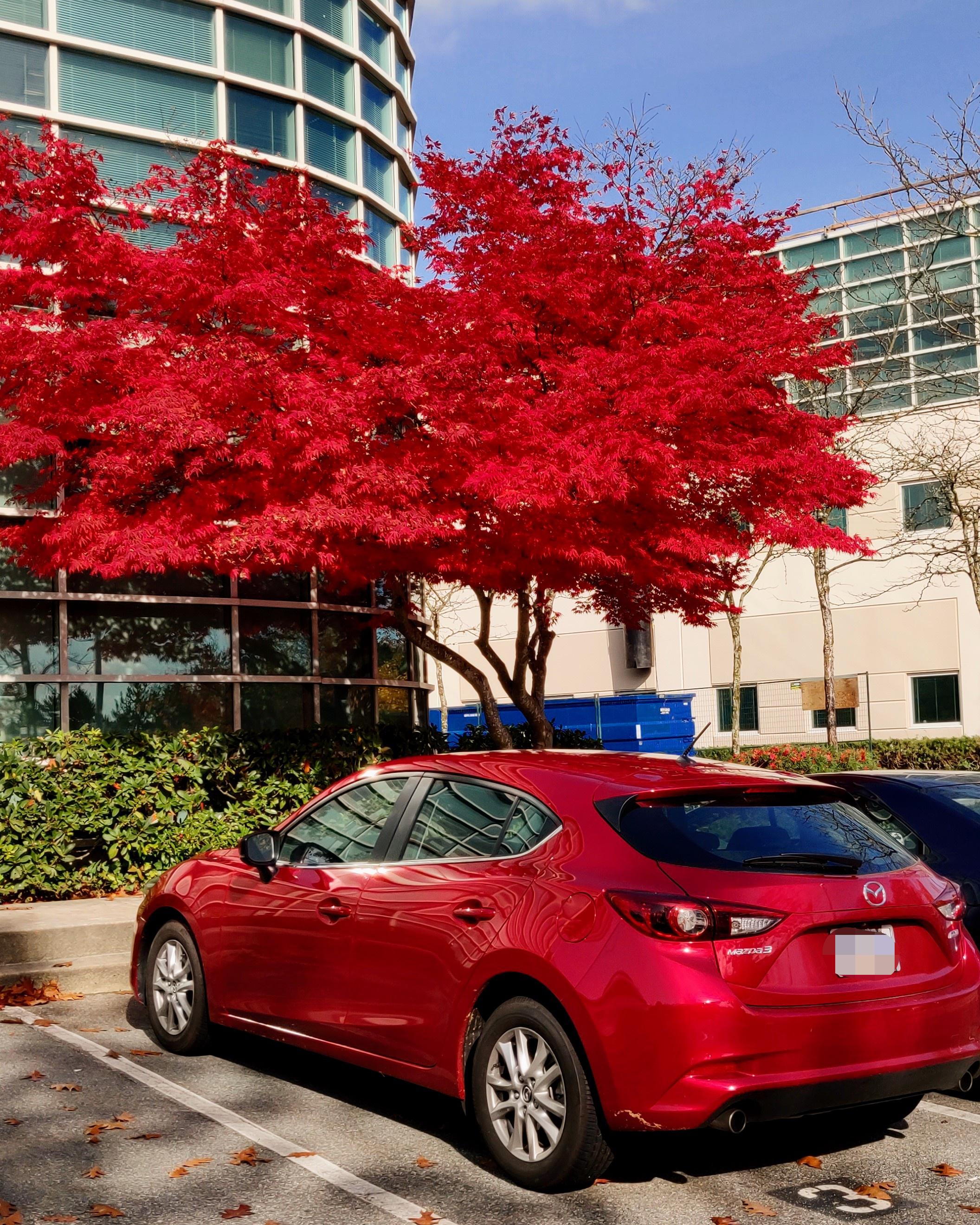 Matching colors | Scrolller