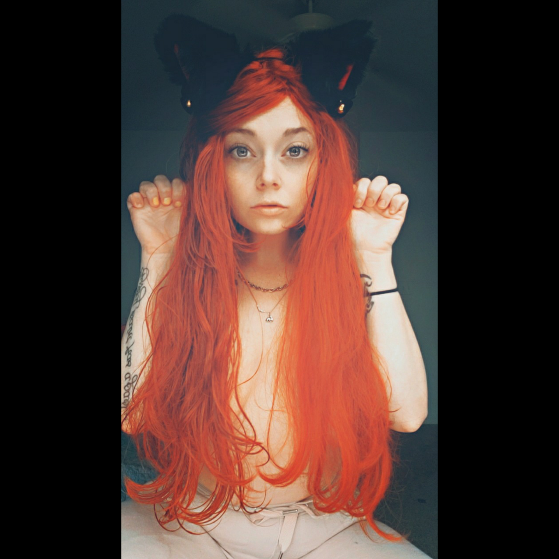 May I demand head pets, for I am best girl? 😇 | Scrolller