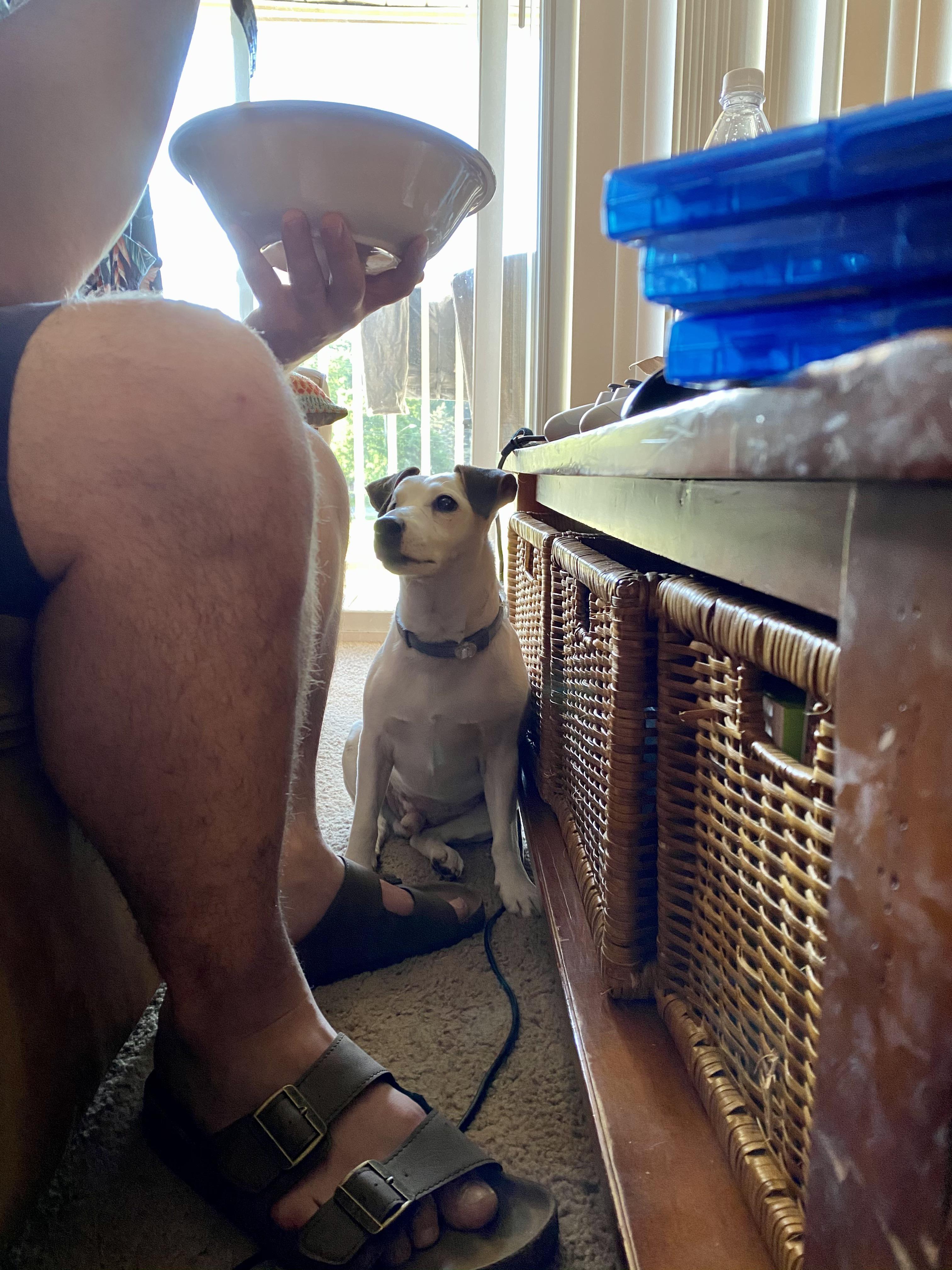 Maybe, fAther? | Scrolller