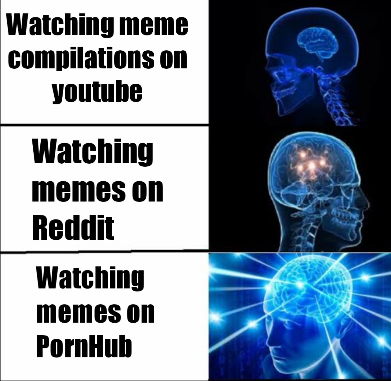 Me and my homies watch memes on pornhub | Scrolller