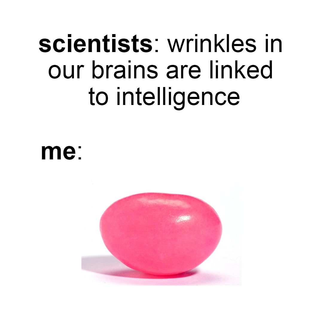 me big brain | Scrolller