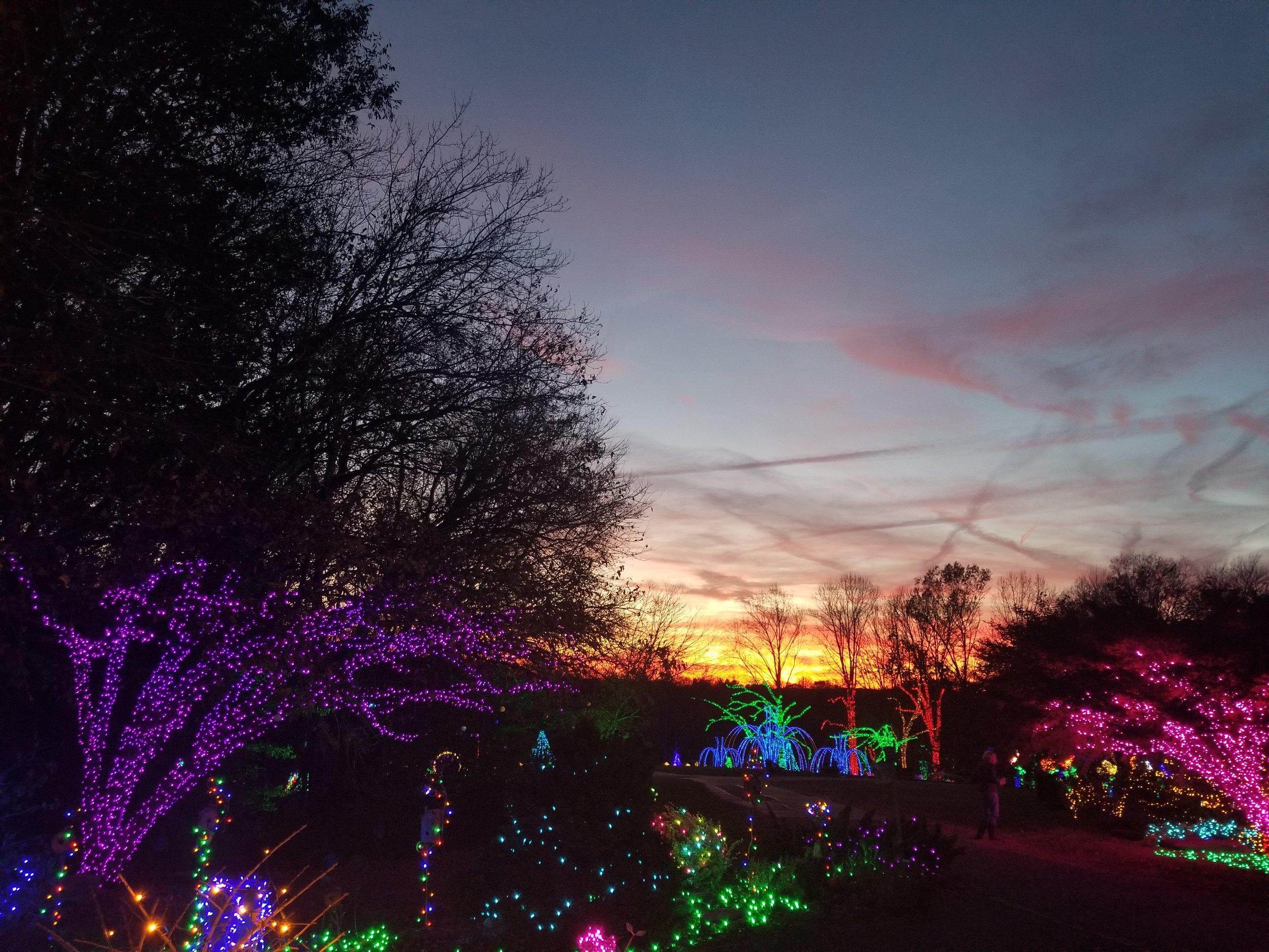 Meadowlark Botanical Gardens: Winter Walk of Lights! | Scrolller