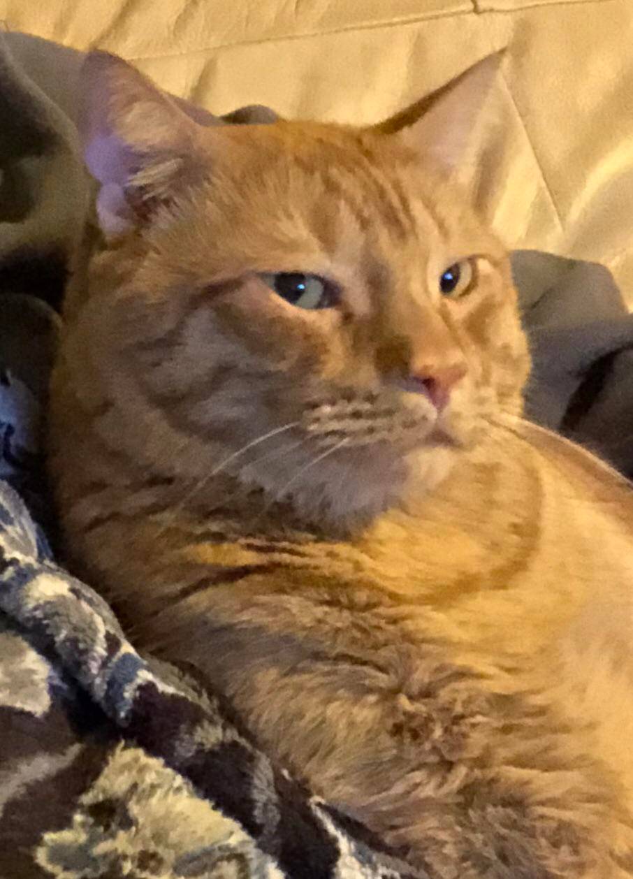 Mean muggin’ | Scrolller