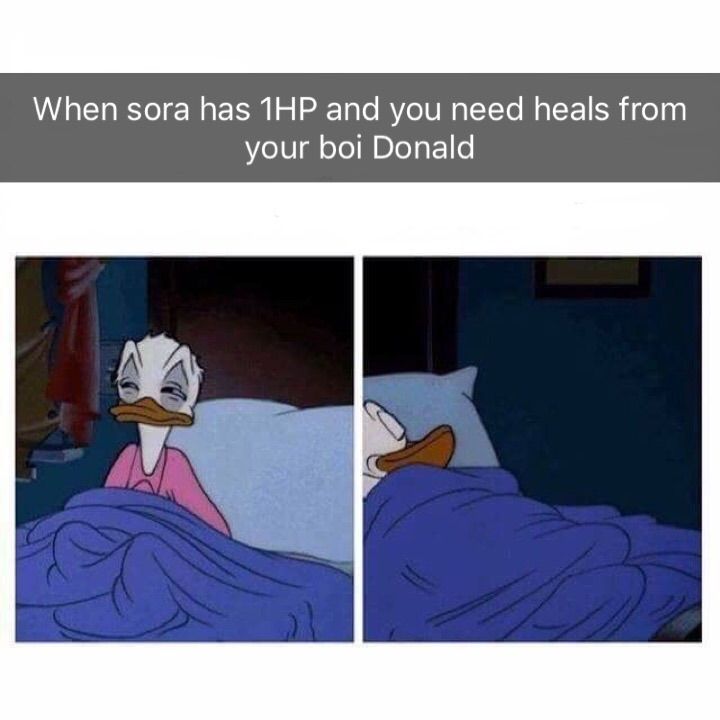 [Media] Donald... | Scrolller