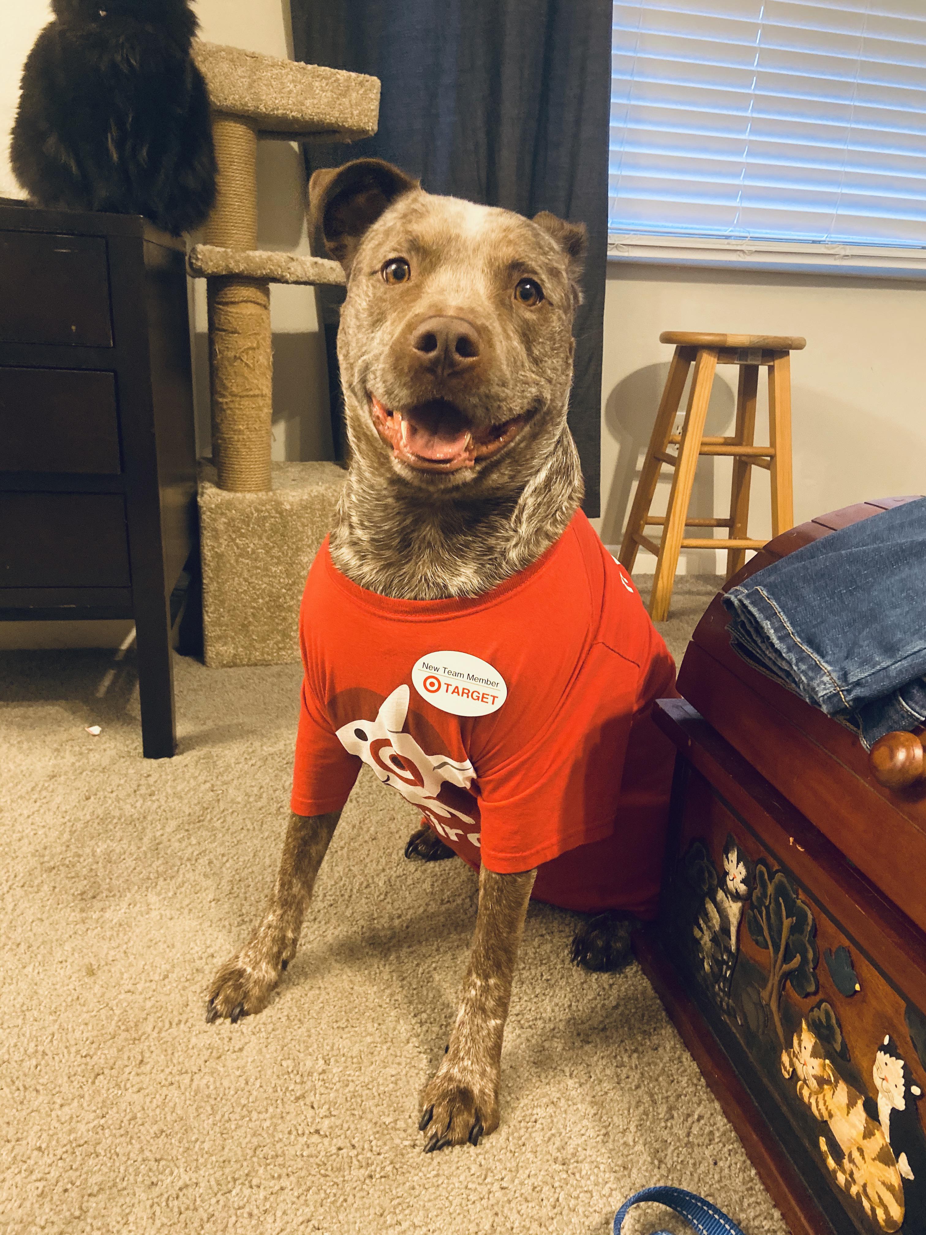 Meet Cooper! The Best TM! | Scrolller