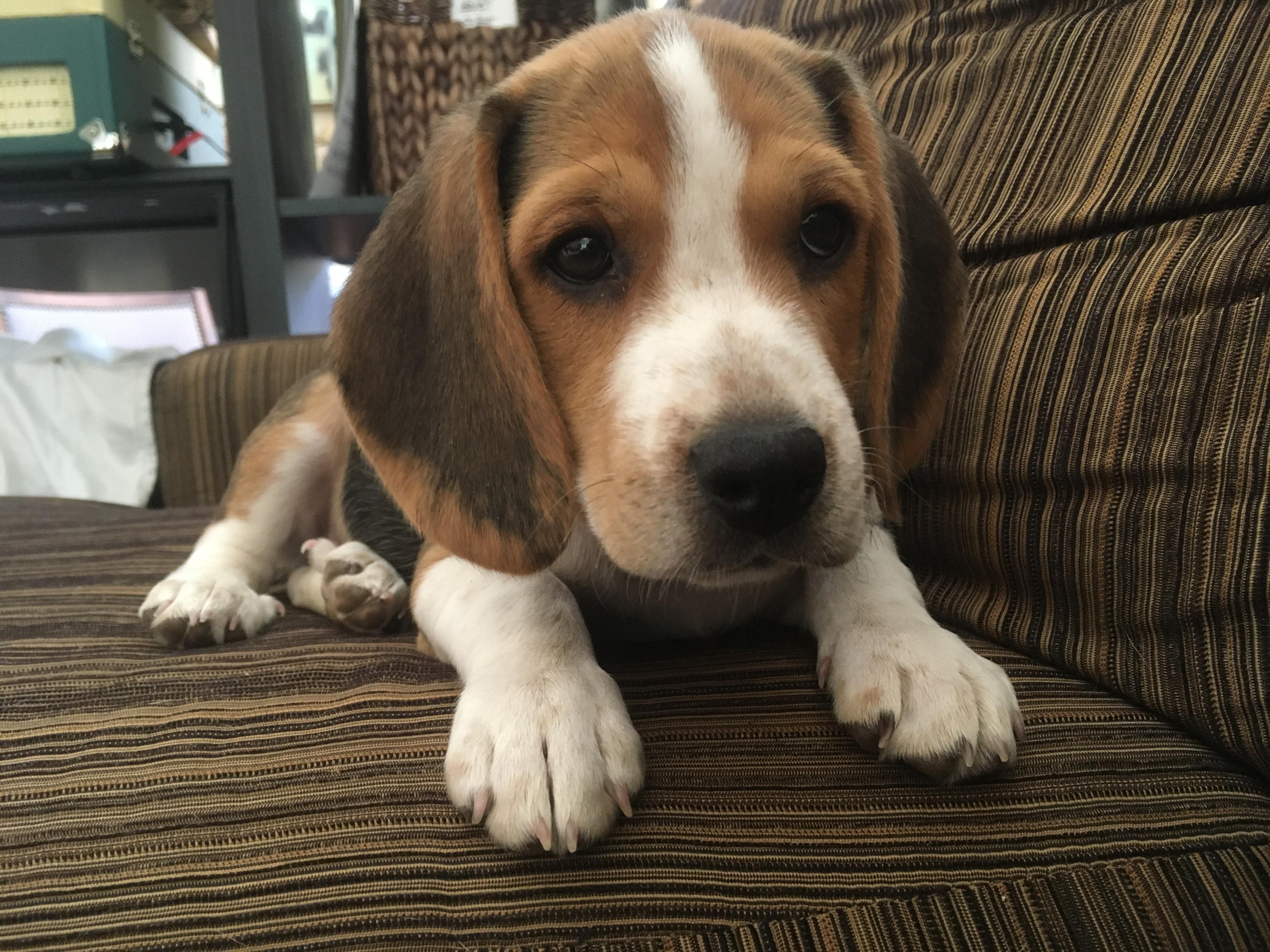 Meet Daisy | Scrolller