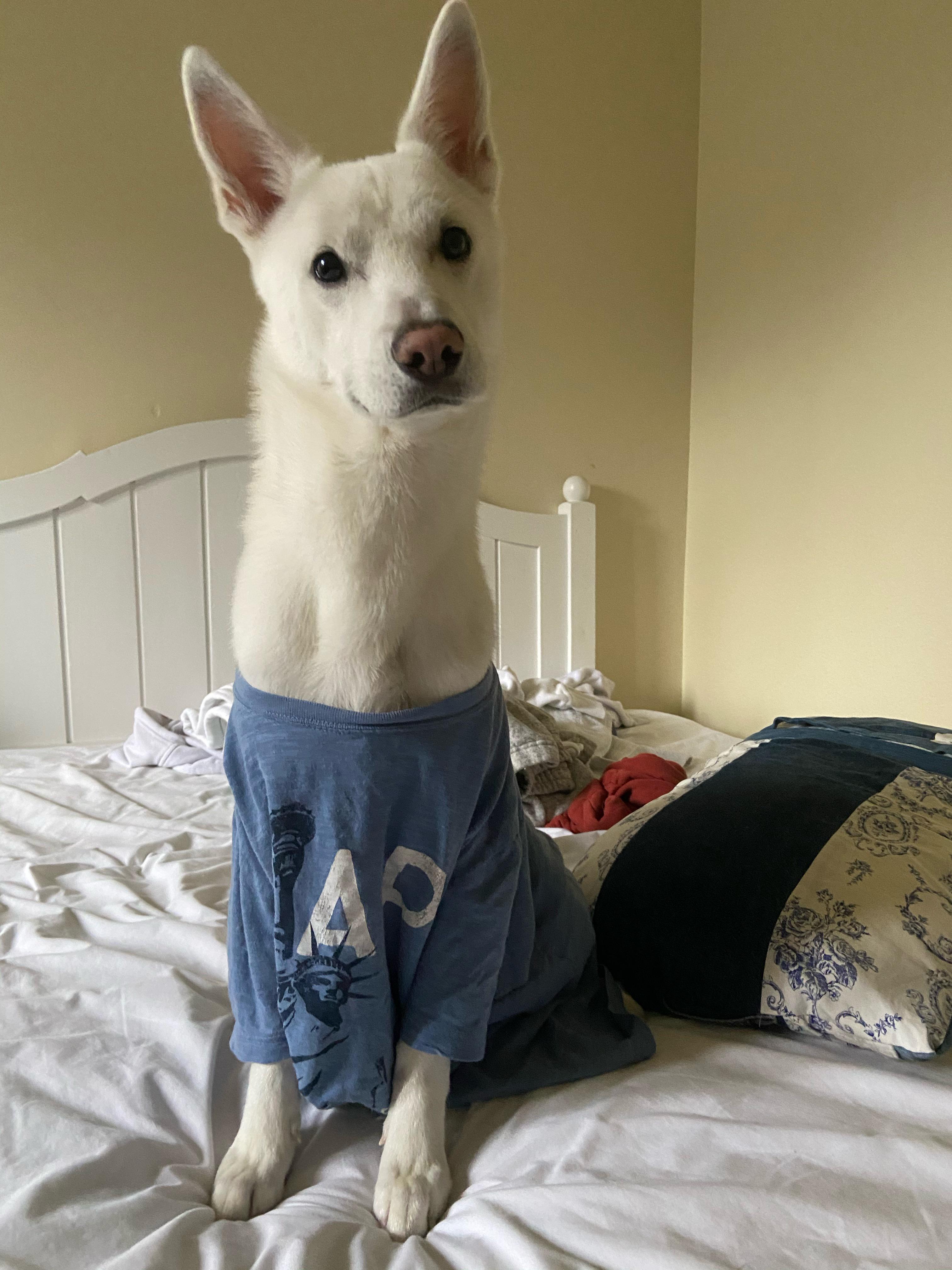 Meet Doobu (Tofu). 1 year old now 🥳 | Scrolller