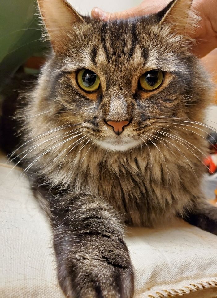 Meet fuzz everyone | Scrolller