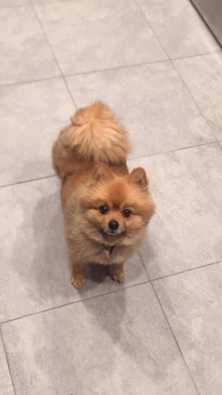 Meet George ! | Scrolller