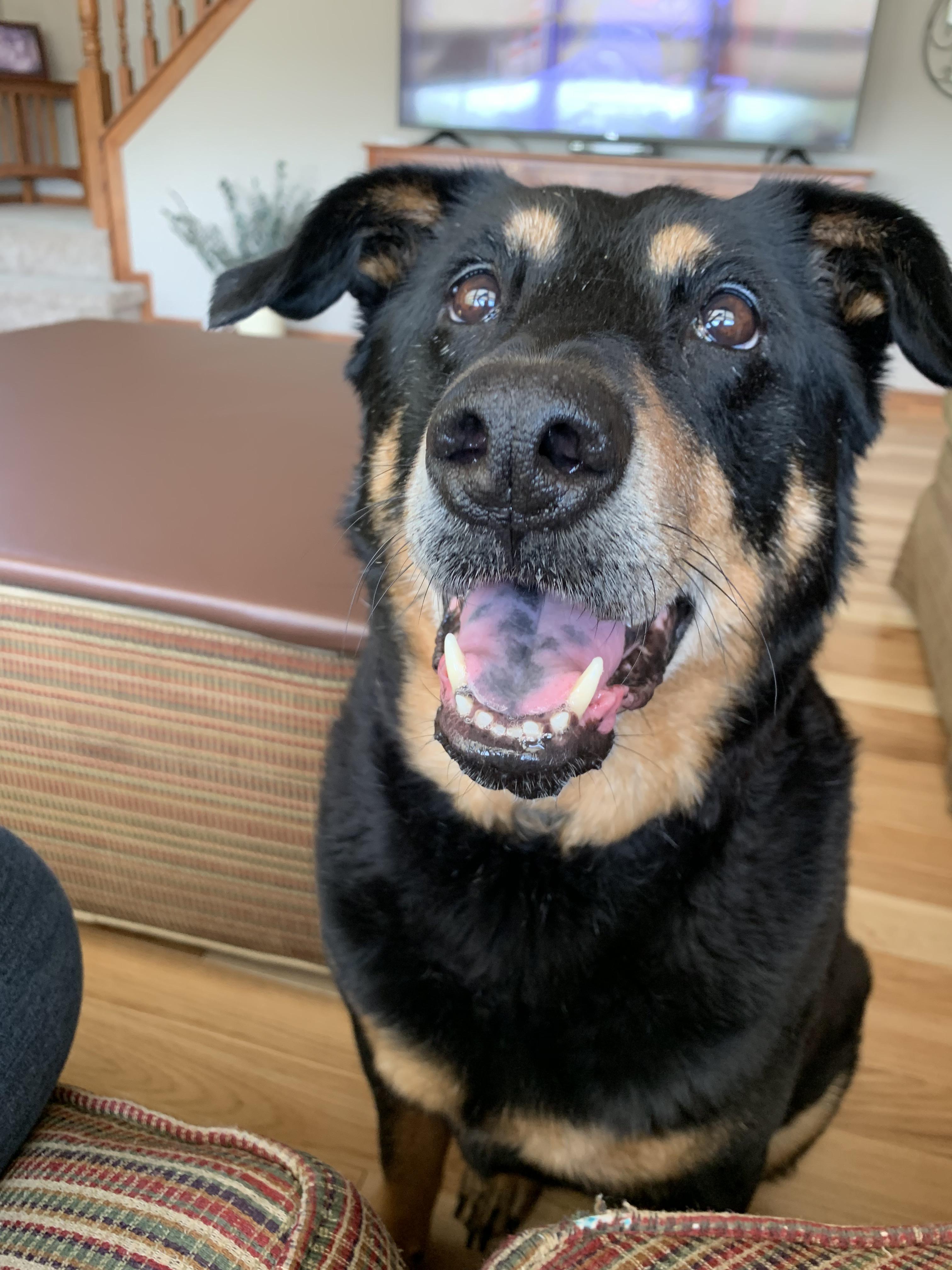 Meet George! | Scrolller