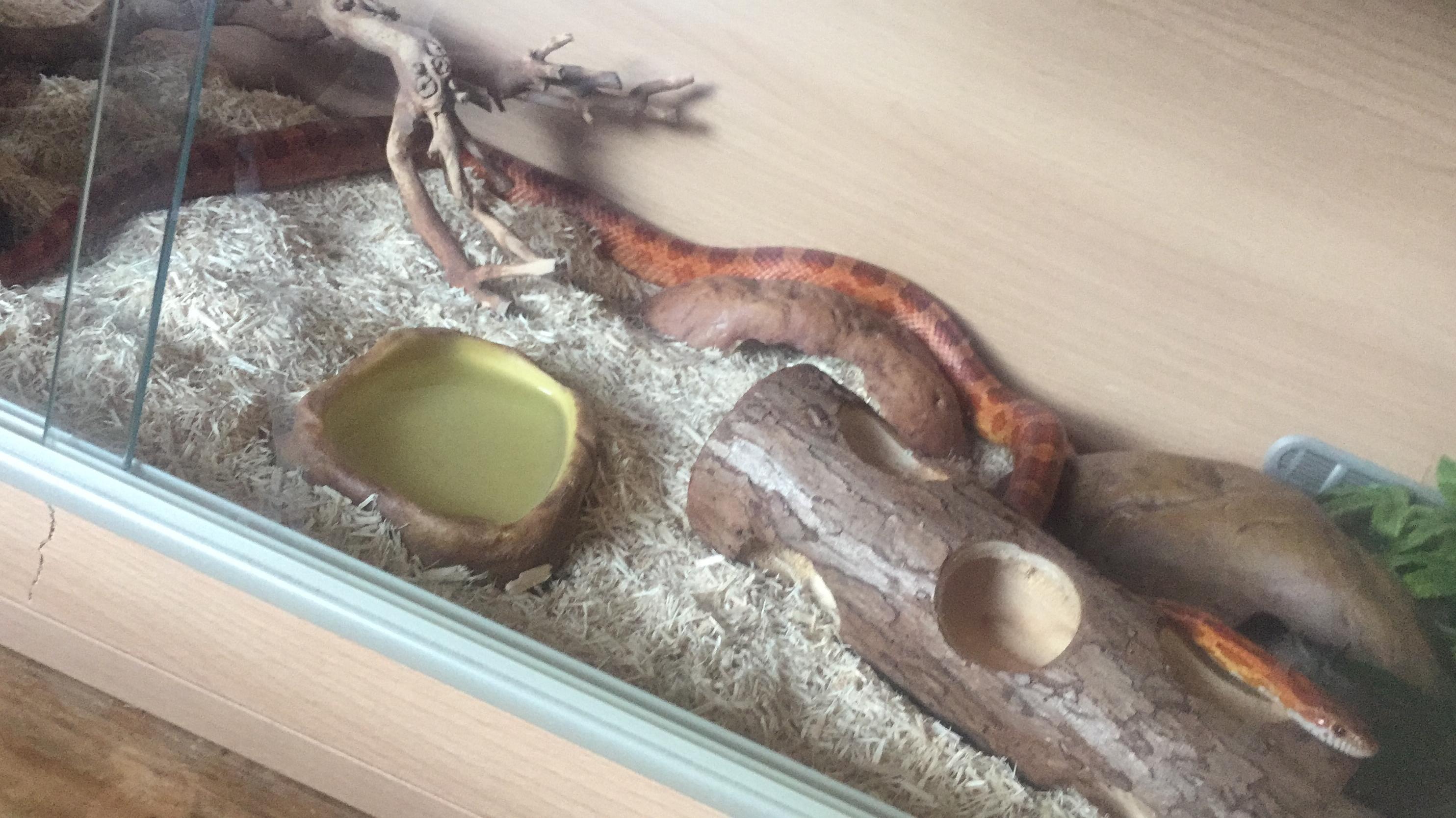 Meet Jeff | Scrolller