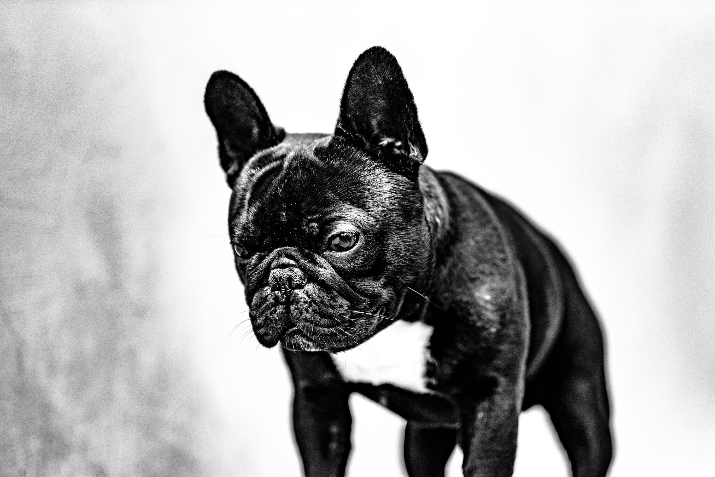 Meet Mars ! | Scrolller