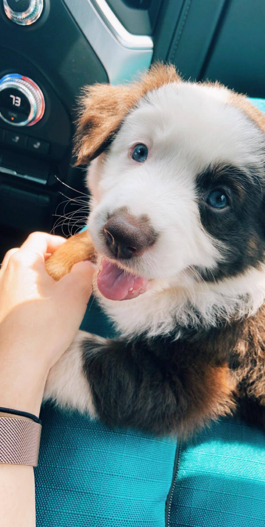 Meet Mia | Scrolller