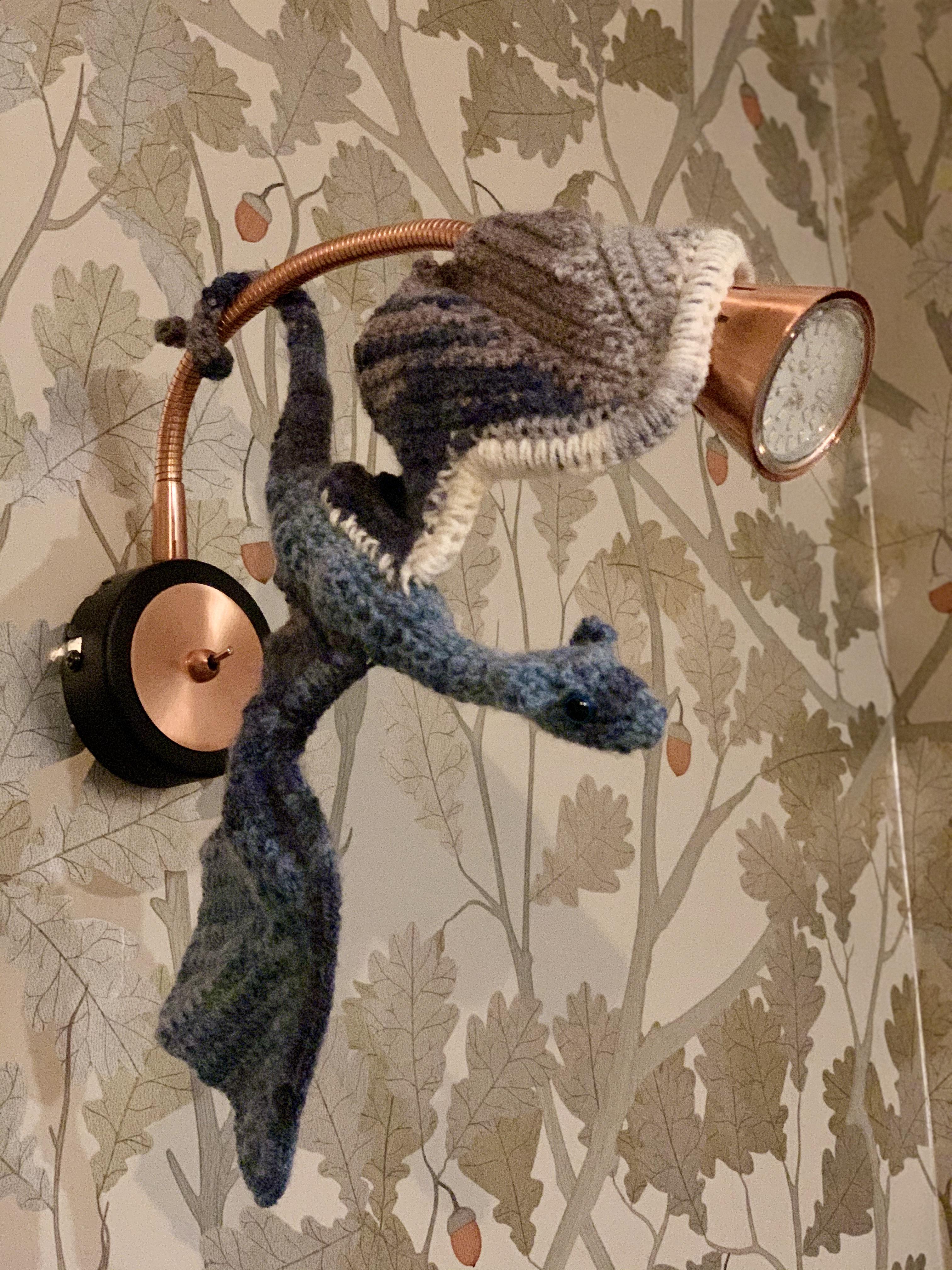 Meet Noodle, he’s very friendly | Scrolller