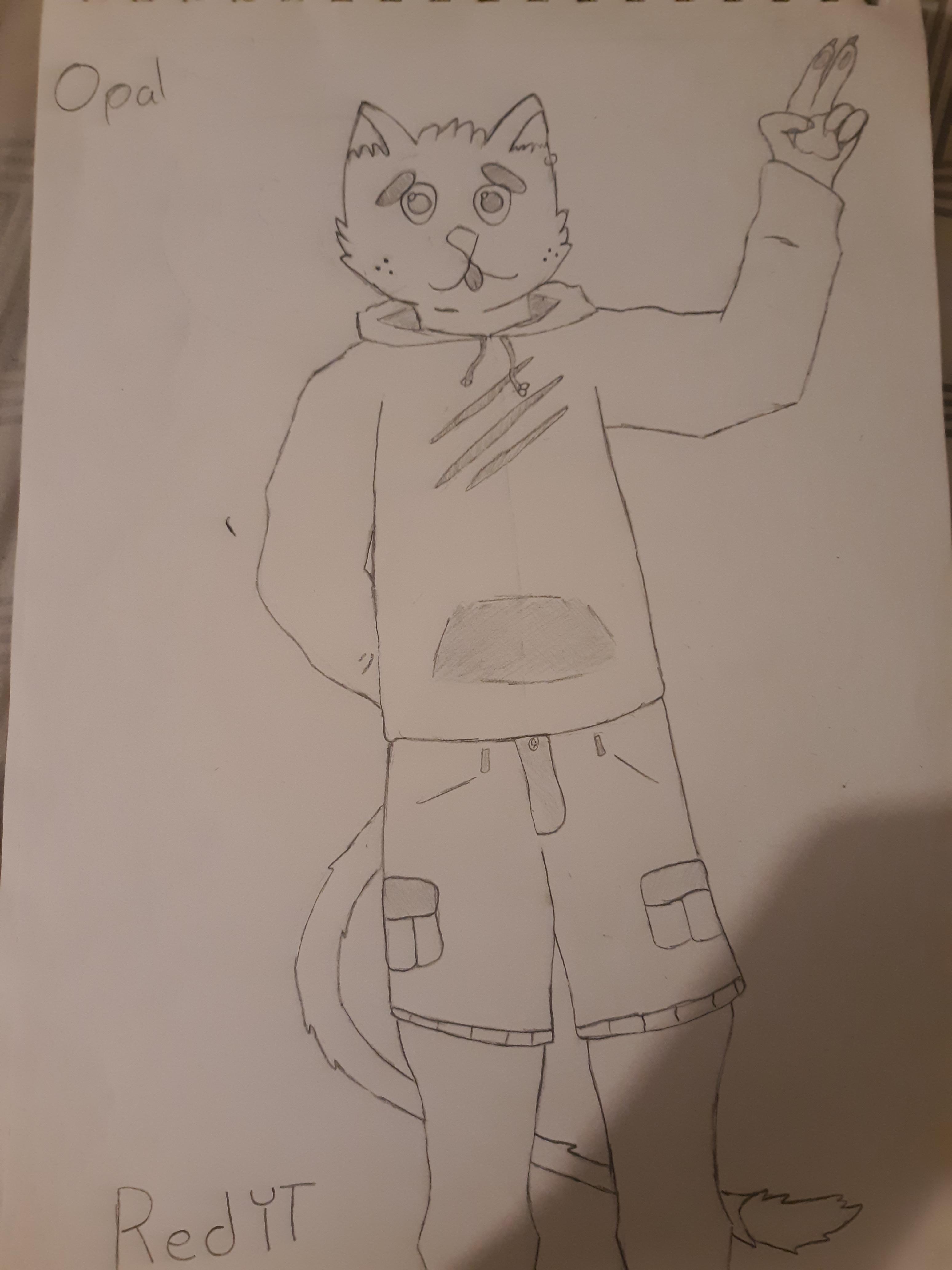 Meet Opal my cat Fursona! First time drawing him so be kind lol | Scrolller