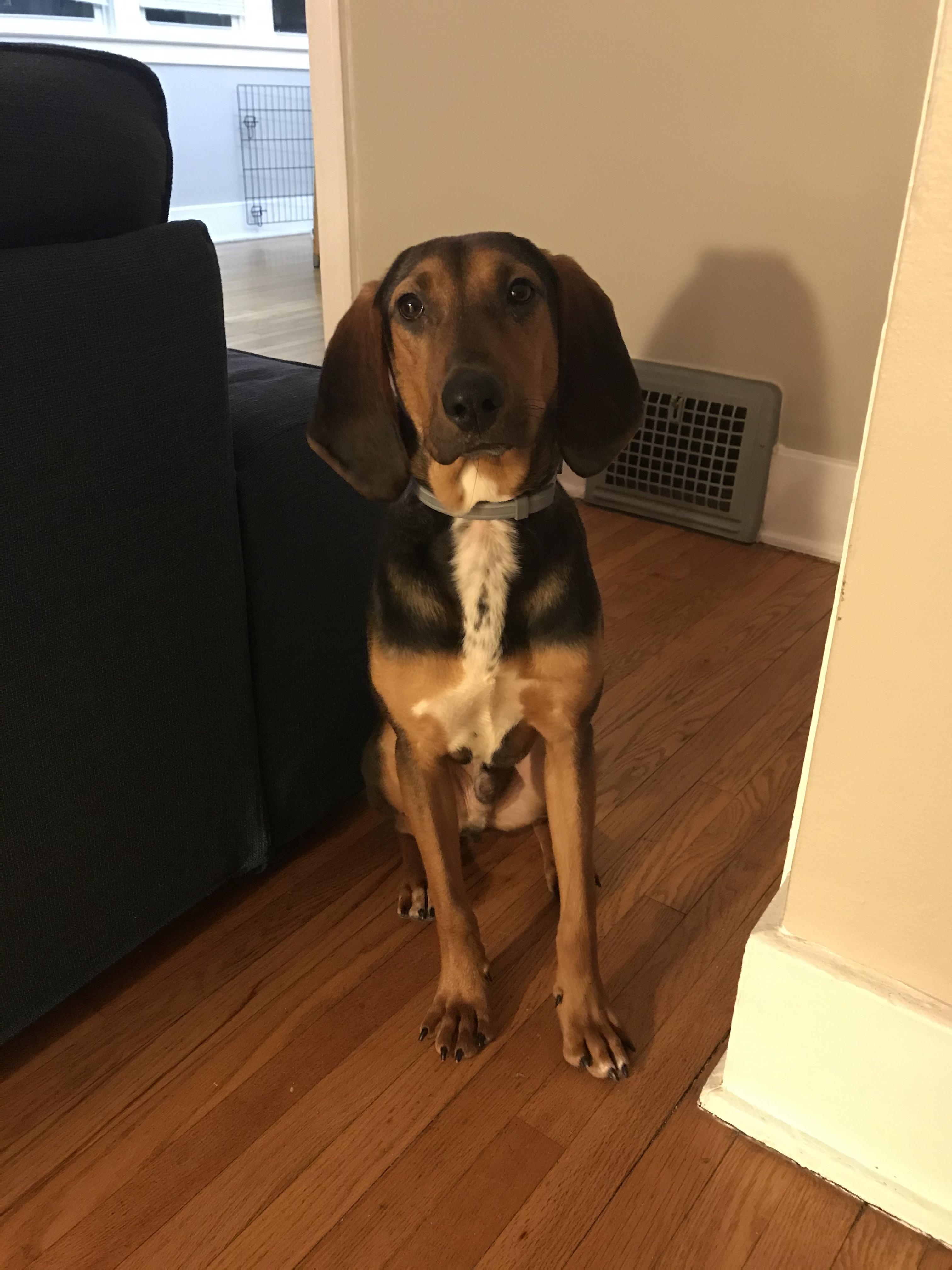 Meet Otis Redding! | Scrolller