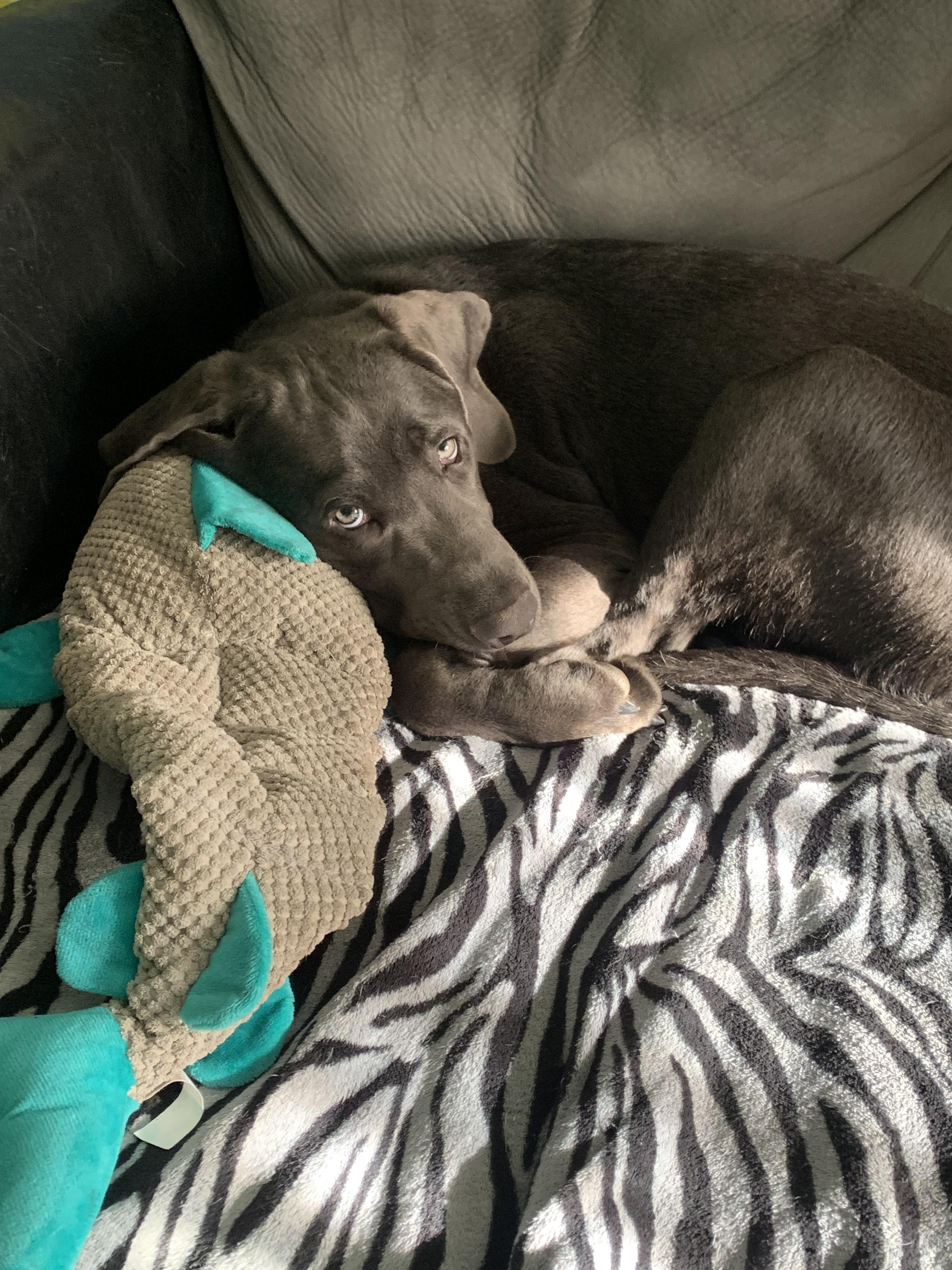 Meet Sterling Archer. “I can’t hear you over the sound of my own awesomeness.” | Scrolller