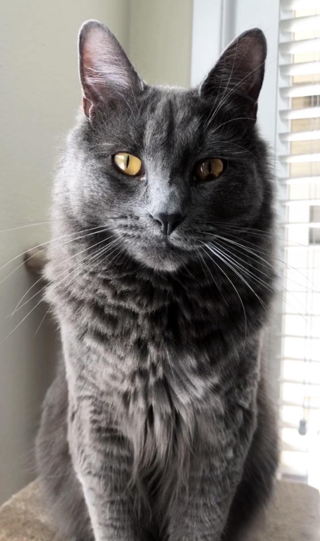 meet stormy | Scrolller