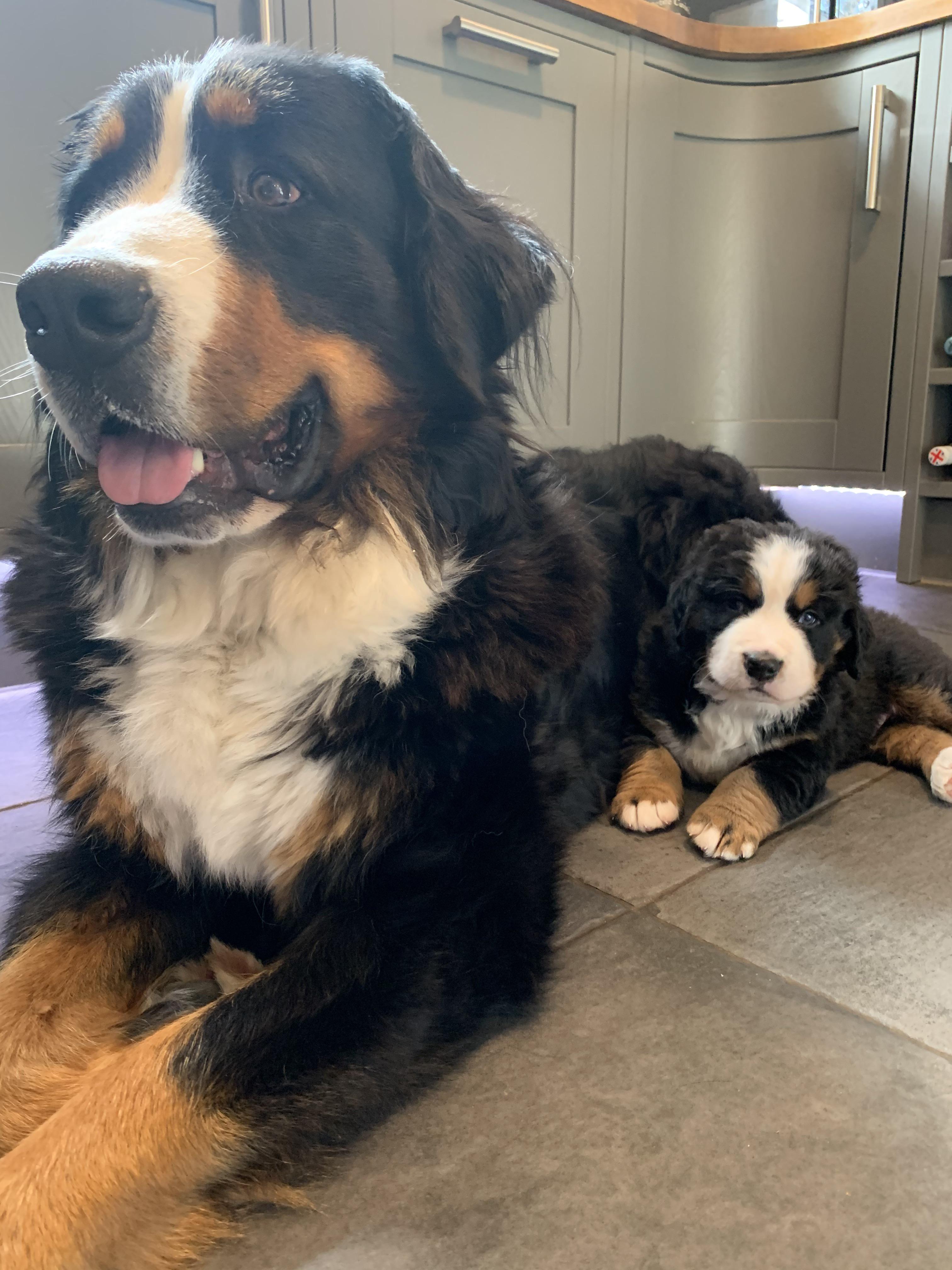 Meet ted! | Scrolller