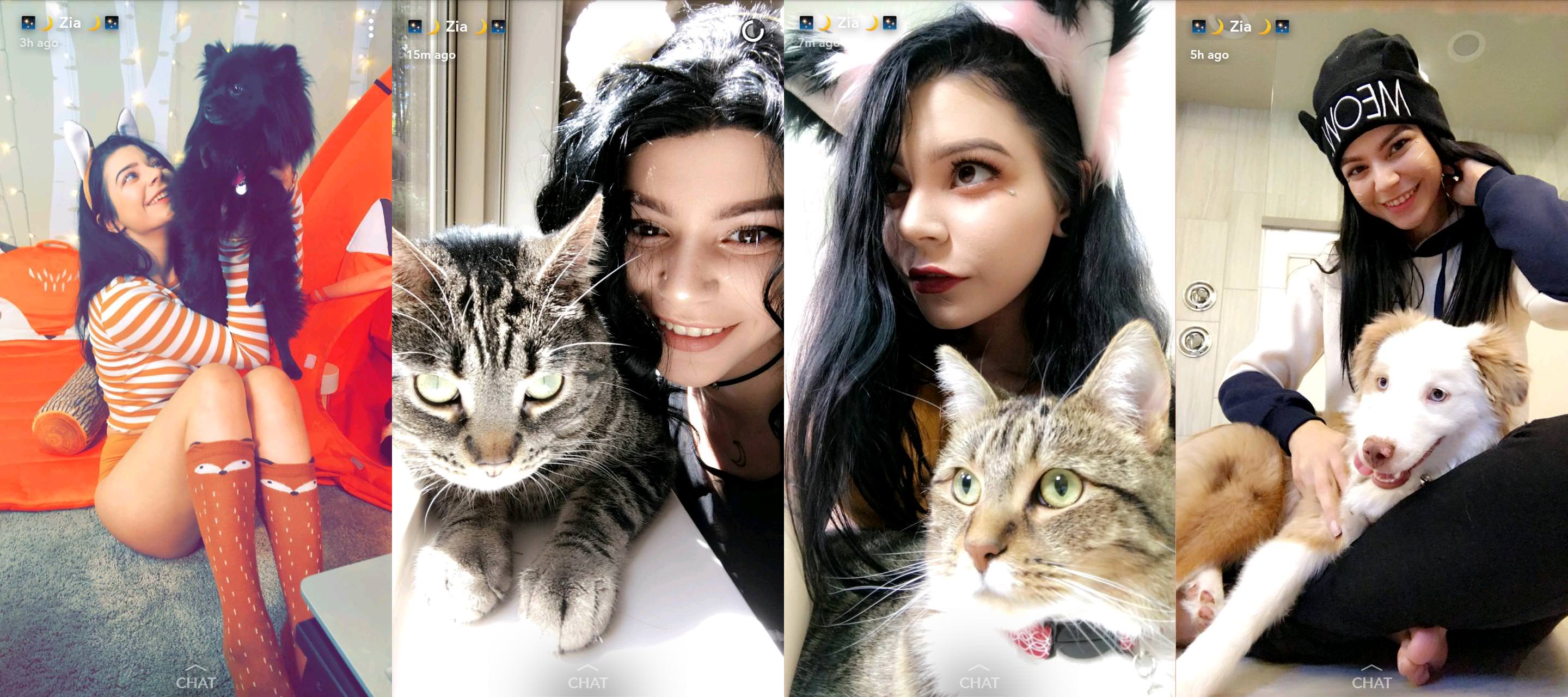 Meet the fur babies | Scrolller