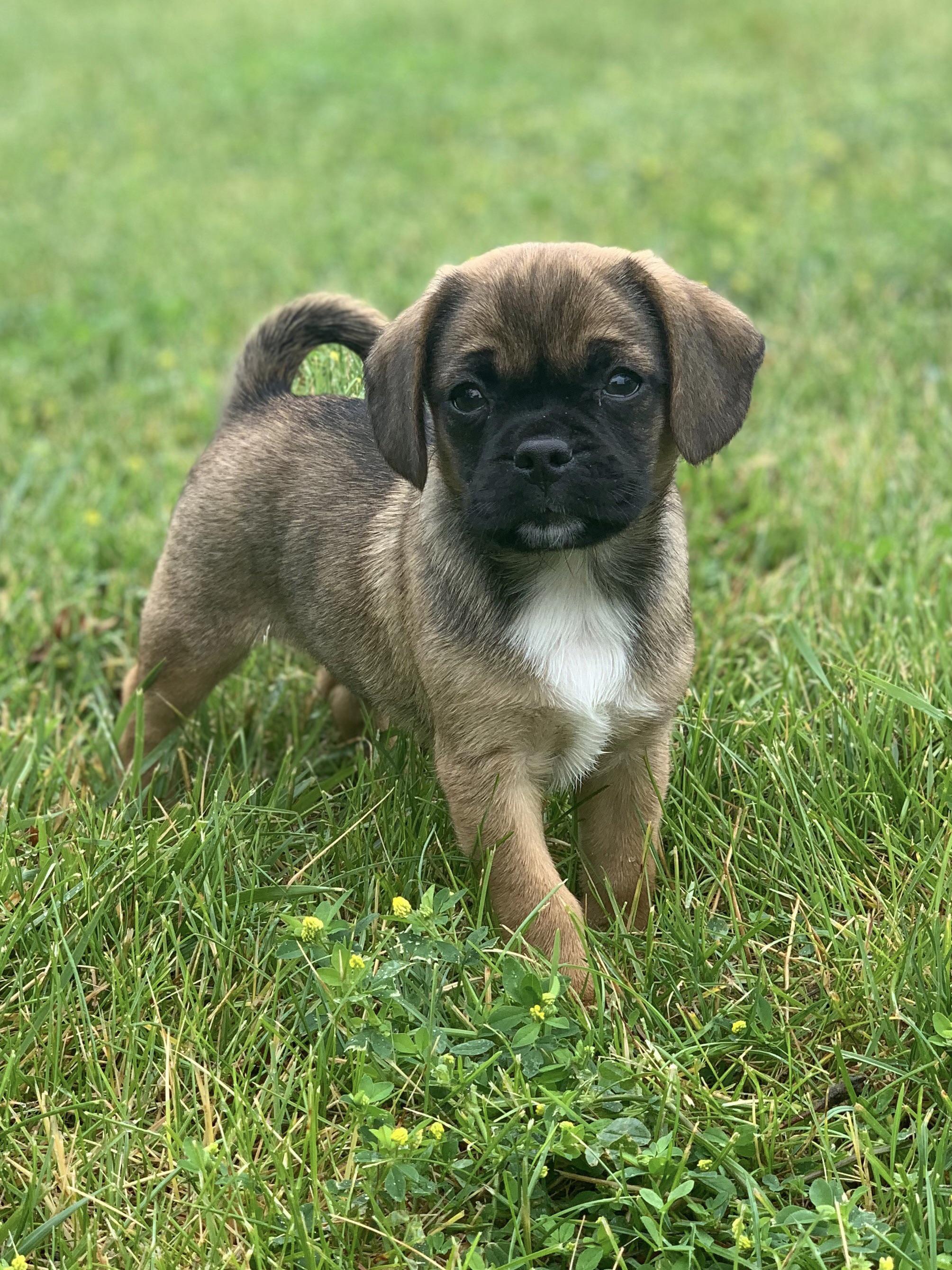 Meet Winnie | Scrolller