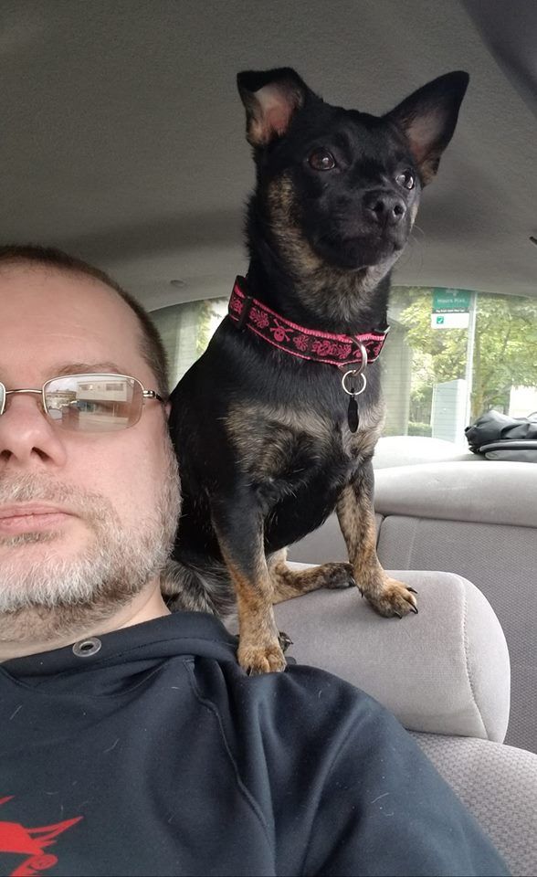 Meet Zuni, my co-pilot | Scrolller