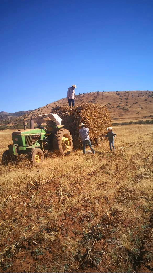 Men and kid at work, Durango Mexico | Scrolller