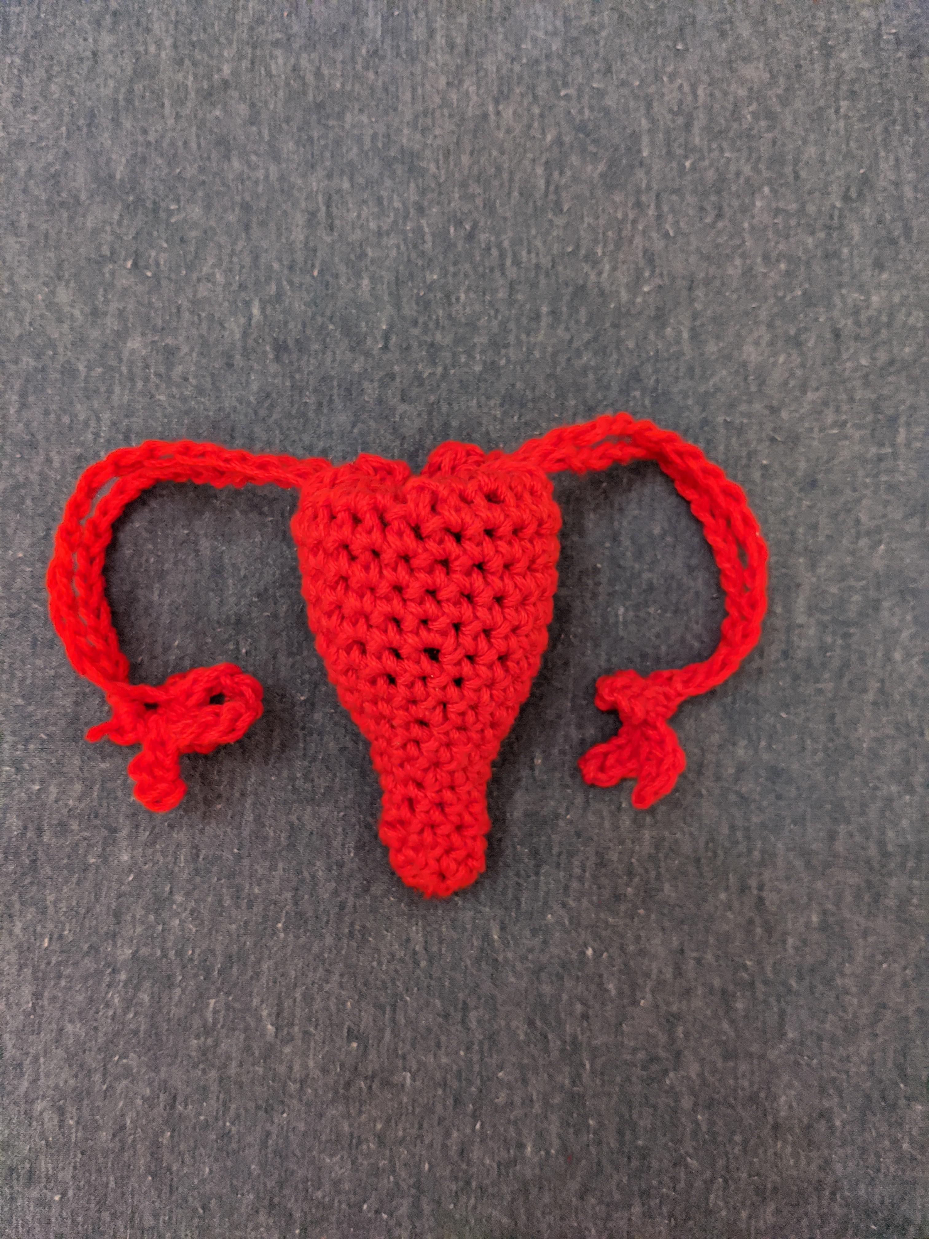 Menstrual cup cozy complete! | Scrolller