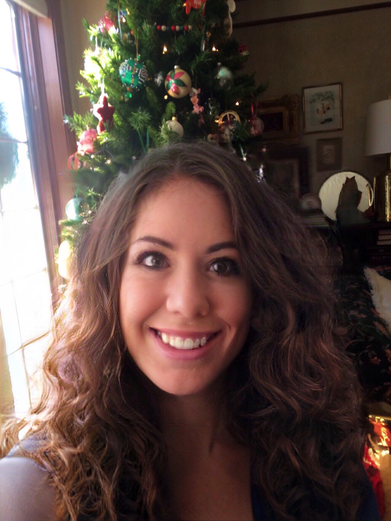 Merry Christmas! | Scrolller