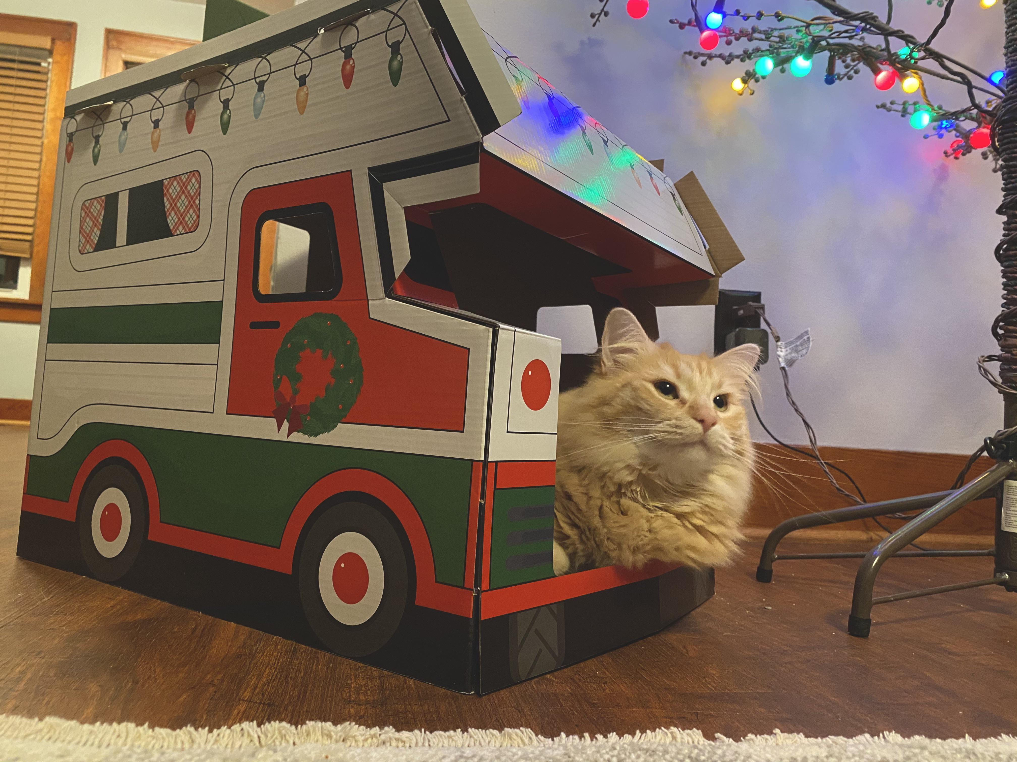 Merry Christmas from Presley and her RV! | Scrolller