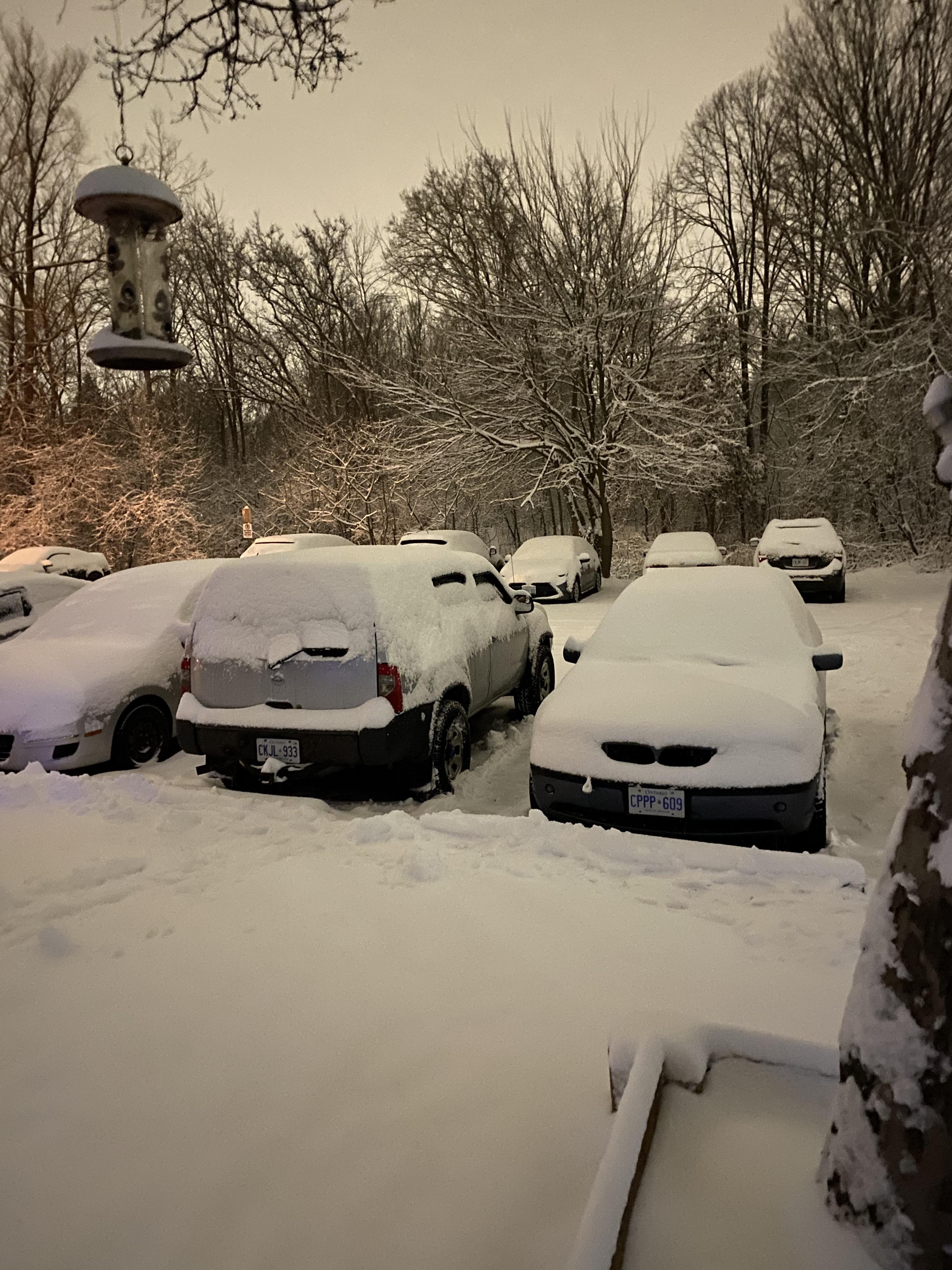 Merry Christmas fuckers! 1st gen and buddies E46 wagon grill delete. Stay cool and catch you on ...