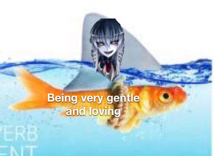 Mersharks are misunderstood | Scrolller